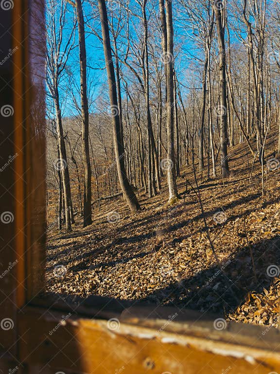 View through a Window Frame with a Forest in the Background Stock Image ...