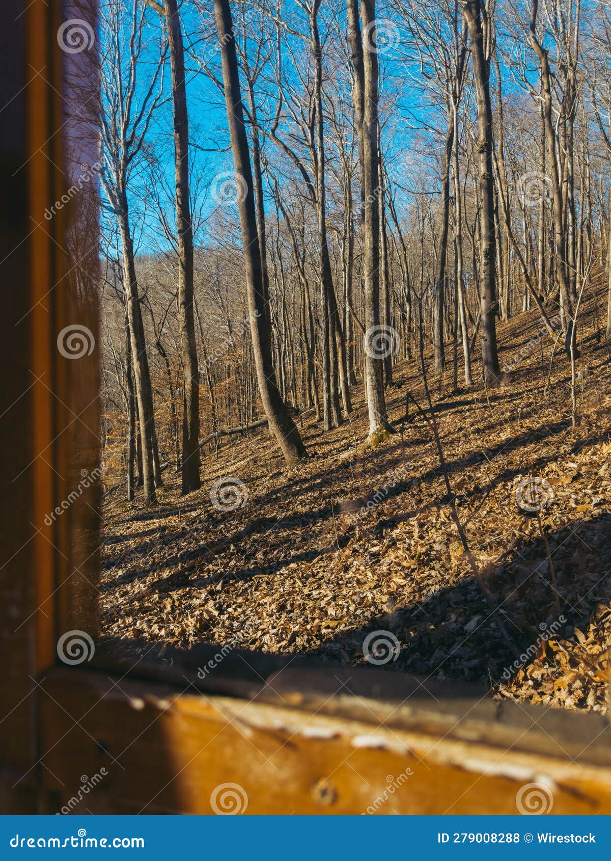 View through a Window Frame with a Forest in the Background Stock Photo ...