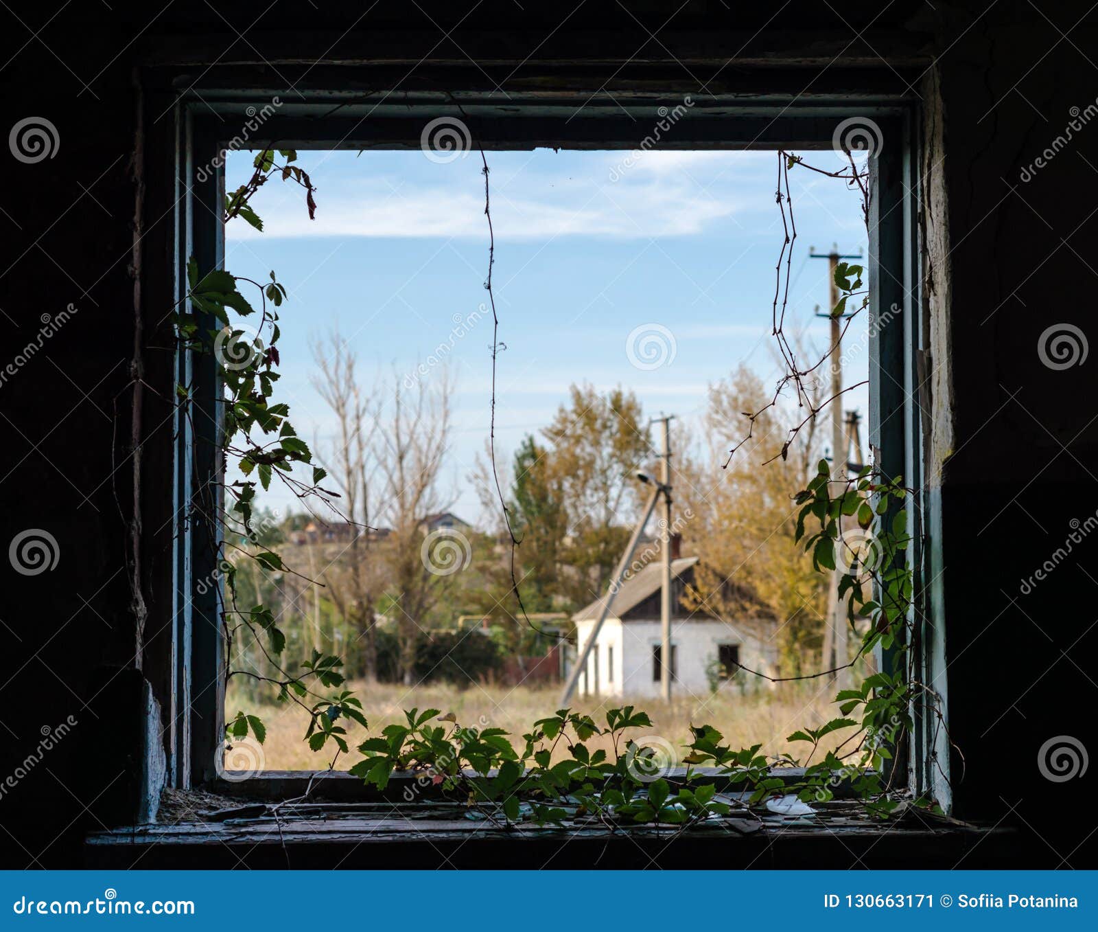 View from the Window of a Rustic House with Trees and a Blue Sky Stock ...
