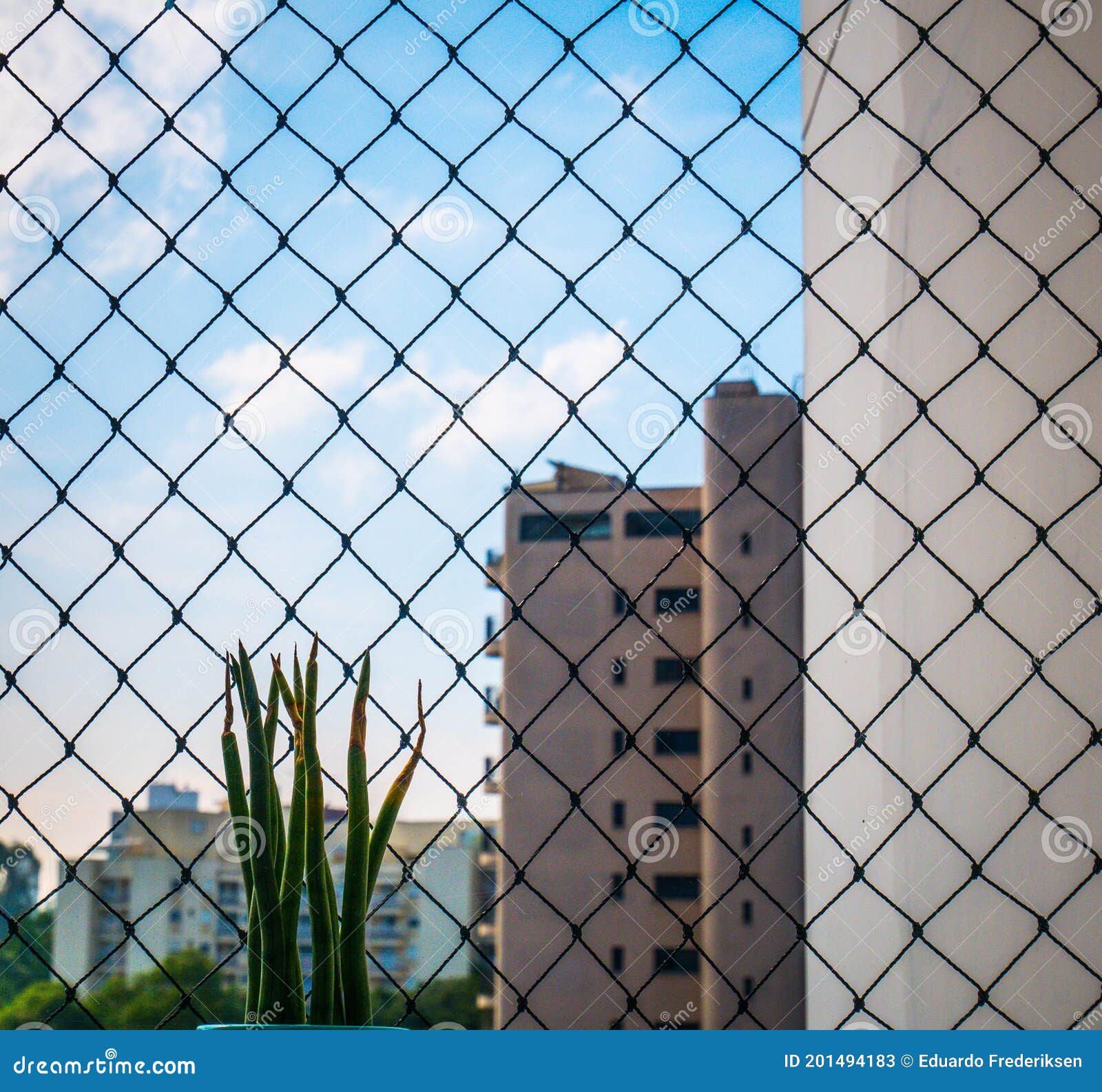 View through a Window with Safety Net Stock Image - Image of people ...