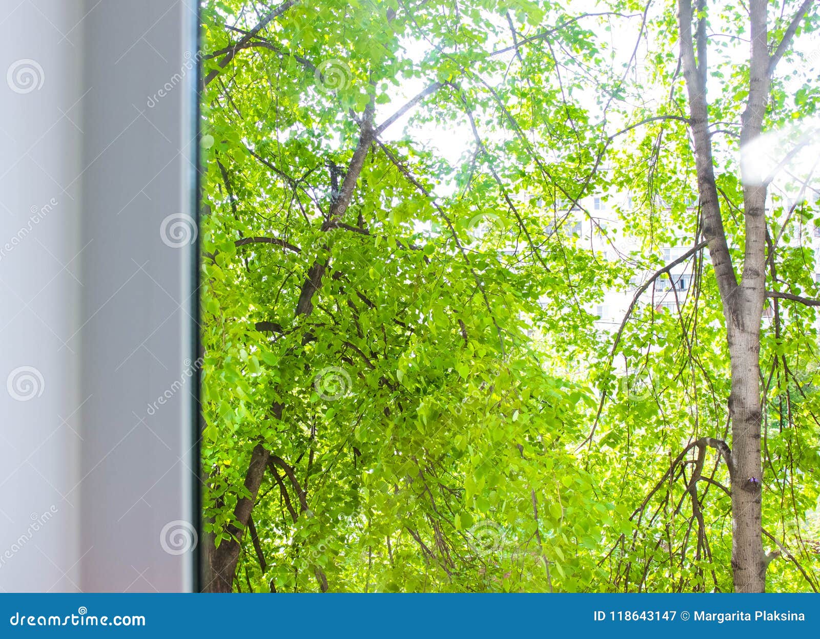 View from the Window in the Summer Afternoon Stock Image - Image of ...