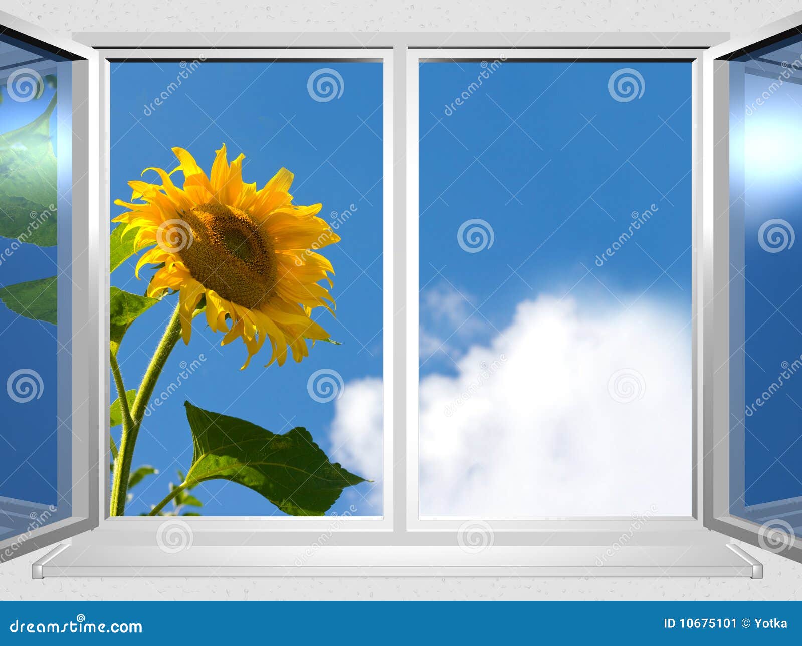 View from the Window of Sunflower Stock Illustration - Illustration of ...