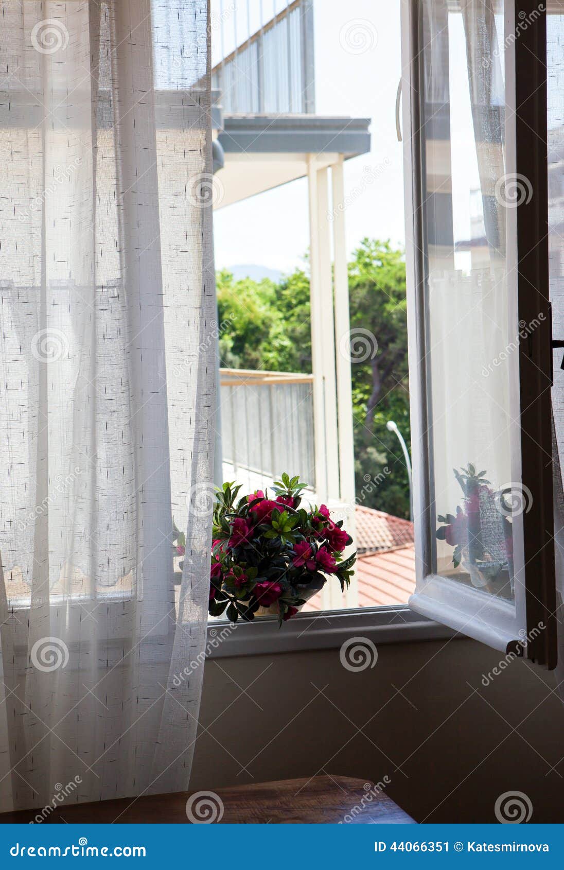 View from the Window on a Sunny Day Stock Image - Image of building ...