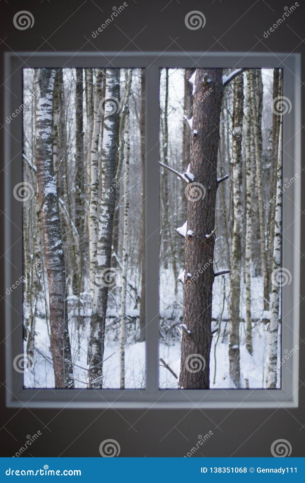 View from a Window To the Beutiful Winter Forest Stock Photo - Image of ...