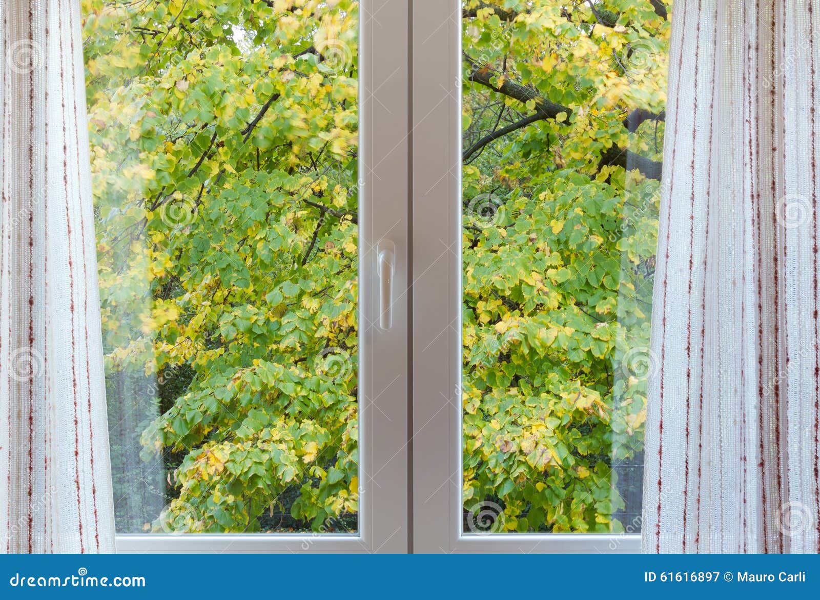 View through a Window on a Windy Autumn Afternoon Stock Image - Image ...