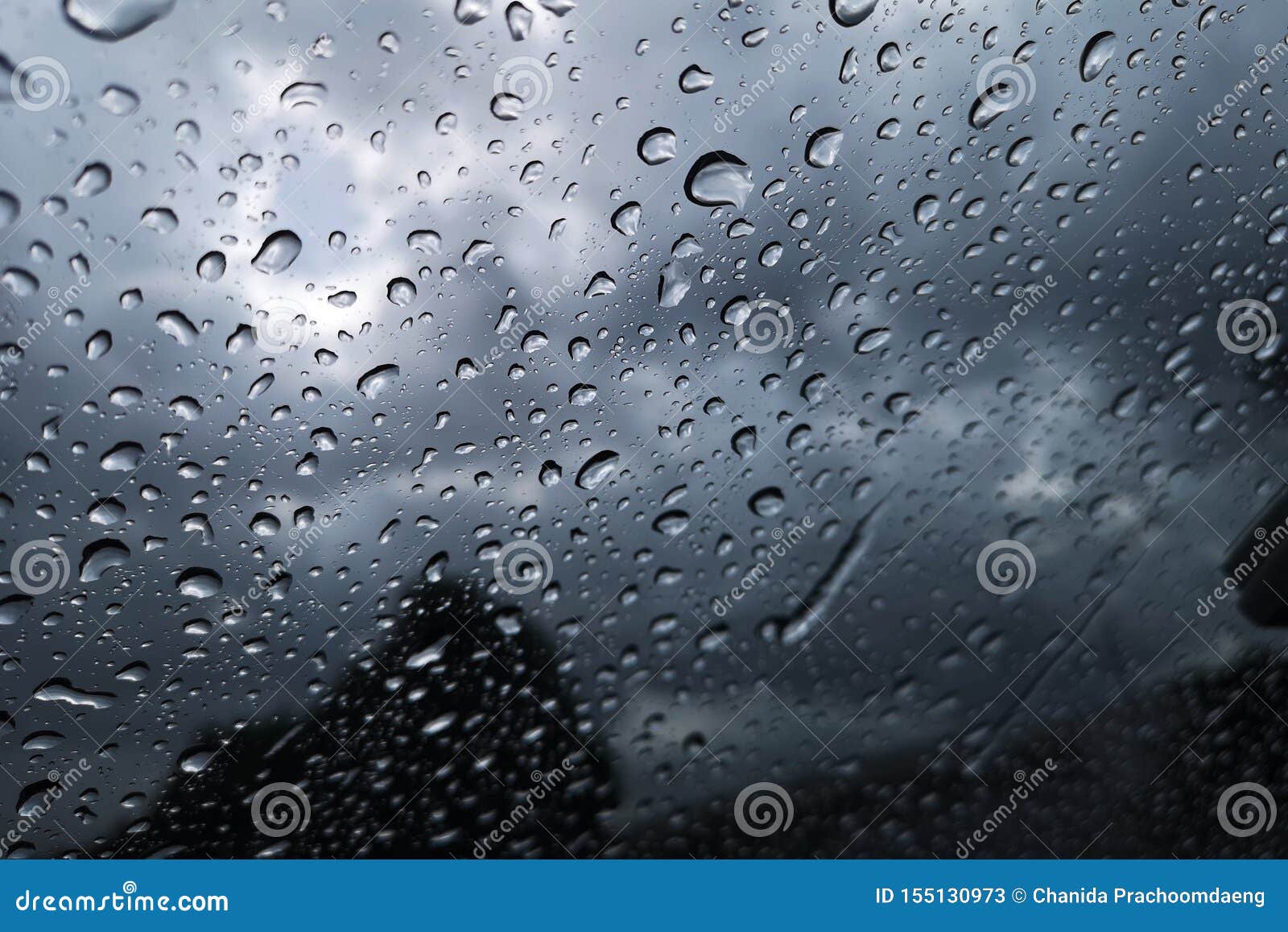 Windshield Rain Night