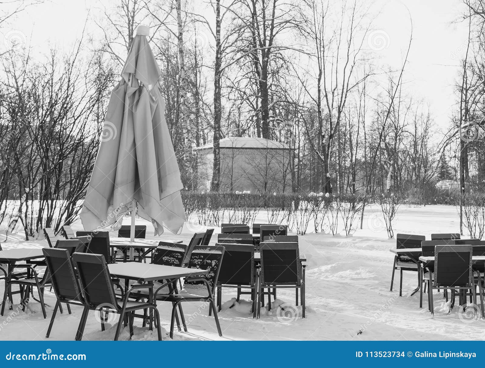 View of the Winter Cafe in the Park. Black White Processing Stock Photo ...