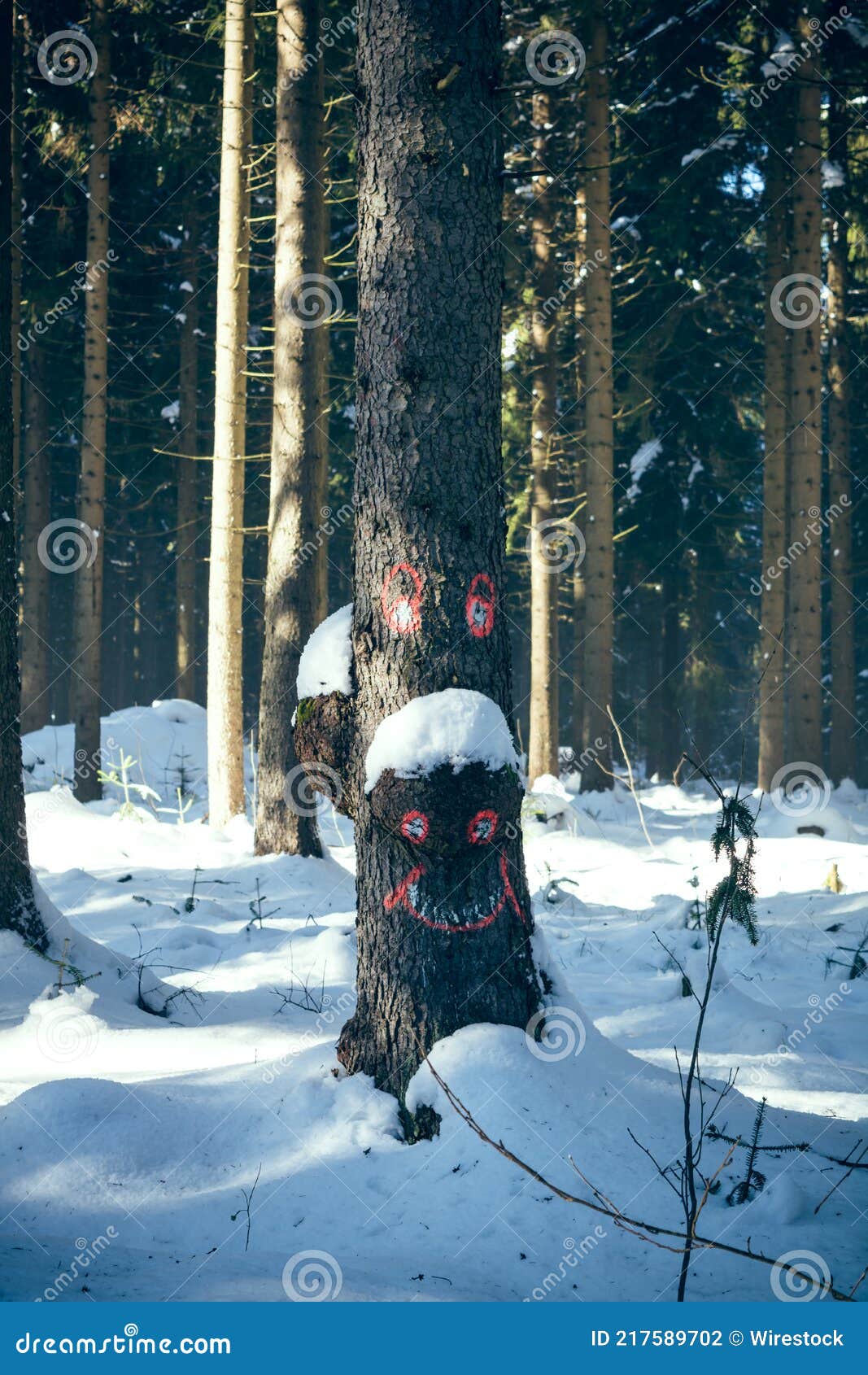 View at the Winter Forest with a Smiley Face Drawn on a Tree Trunk ...