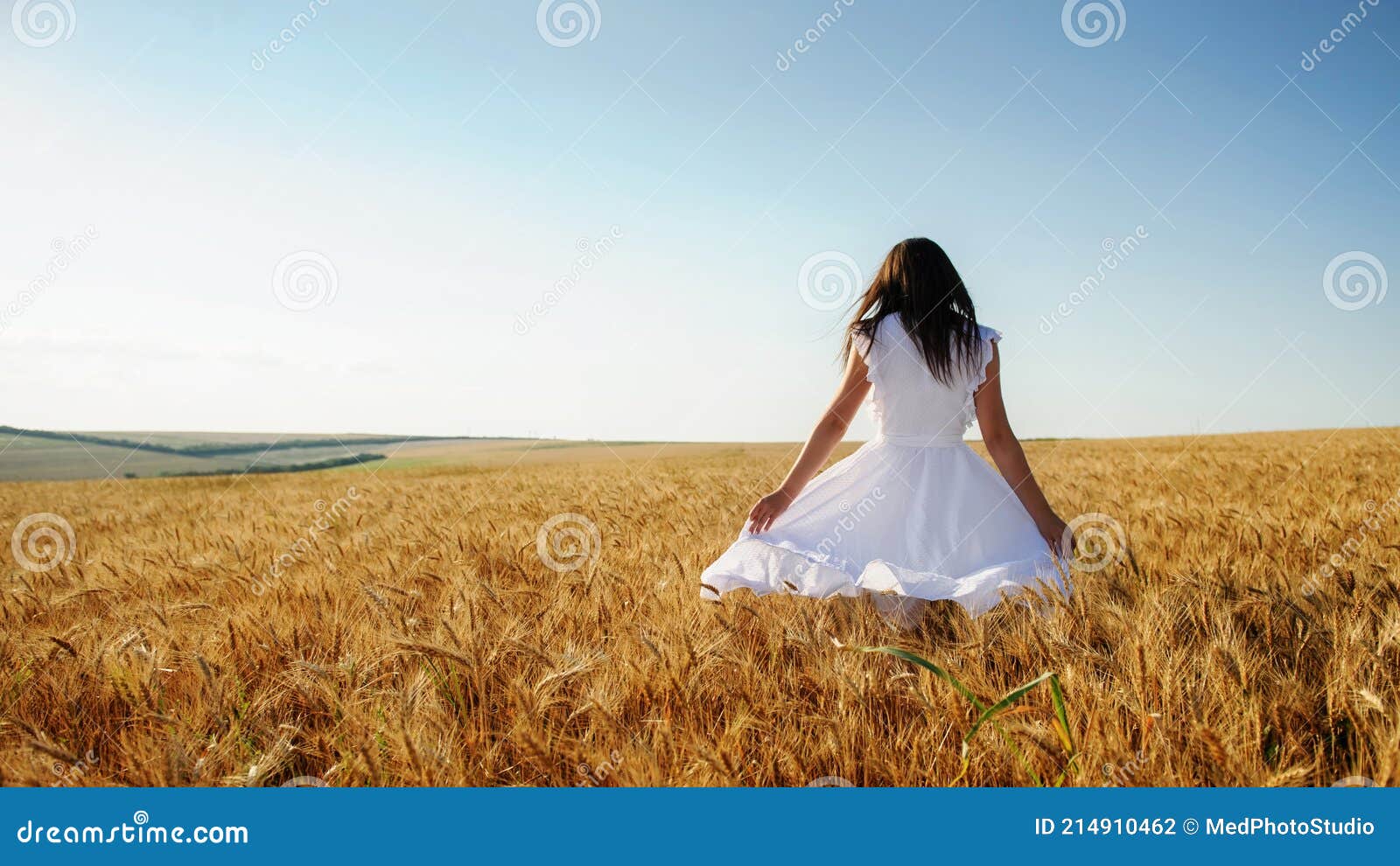 View of a Woman in White Dress in Wheat Field Stock Photo - Image of ...