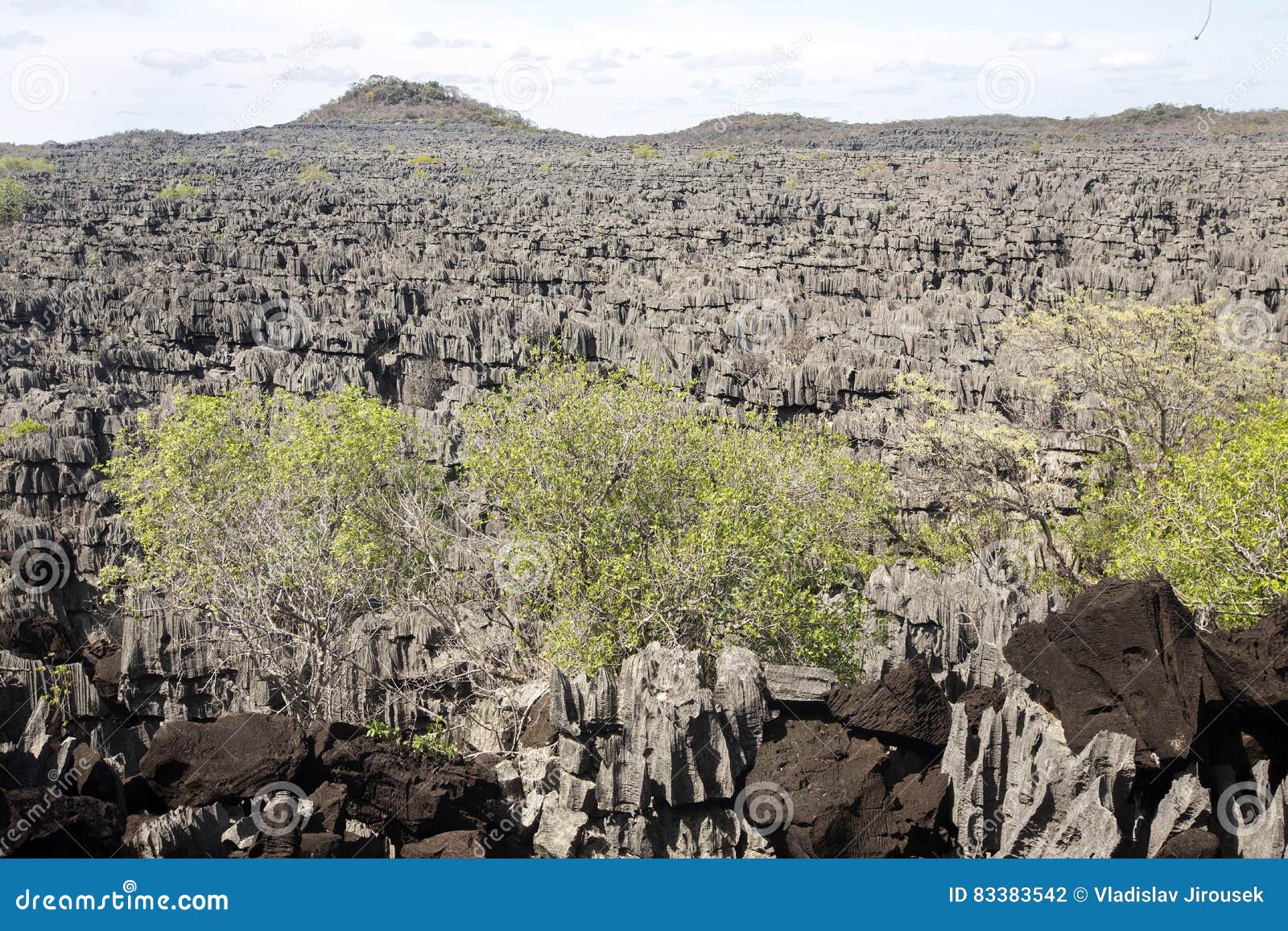 View of the Wonderful Limestone Formations Ankarana, Madagascar Stock ...