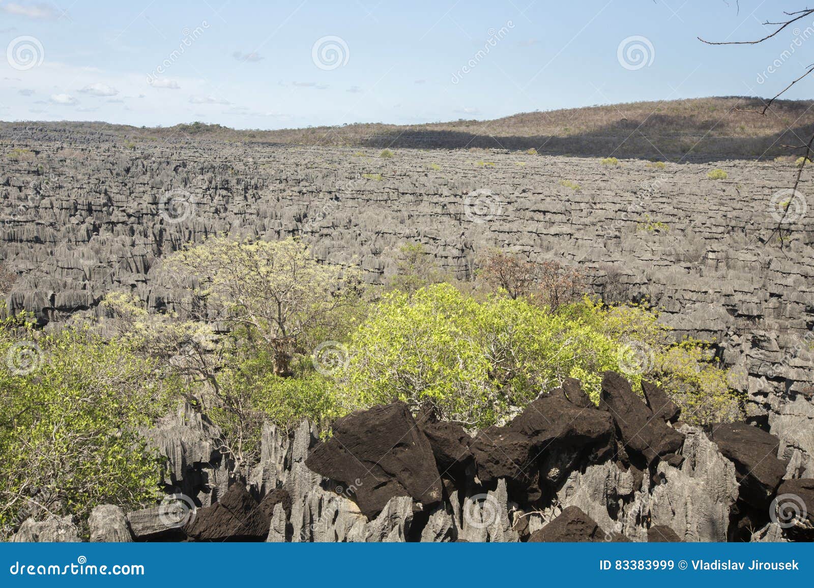 View of the Wonderful Limestone Formations Ankarana, Madagascar Stock ...
