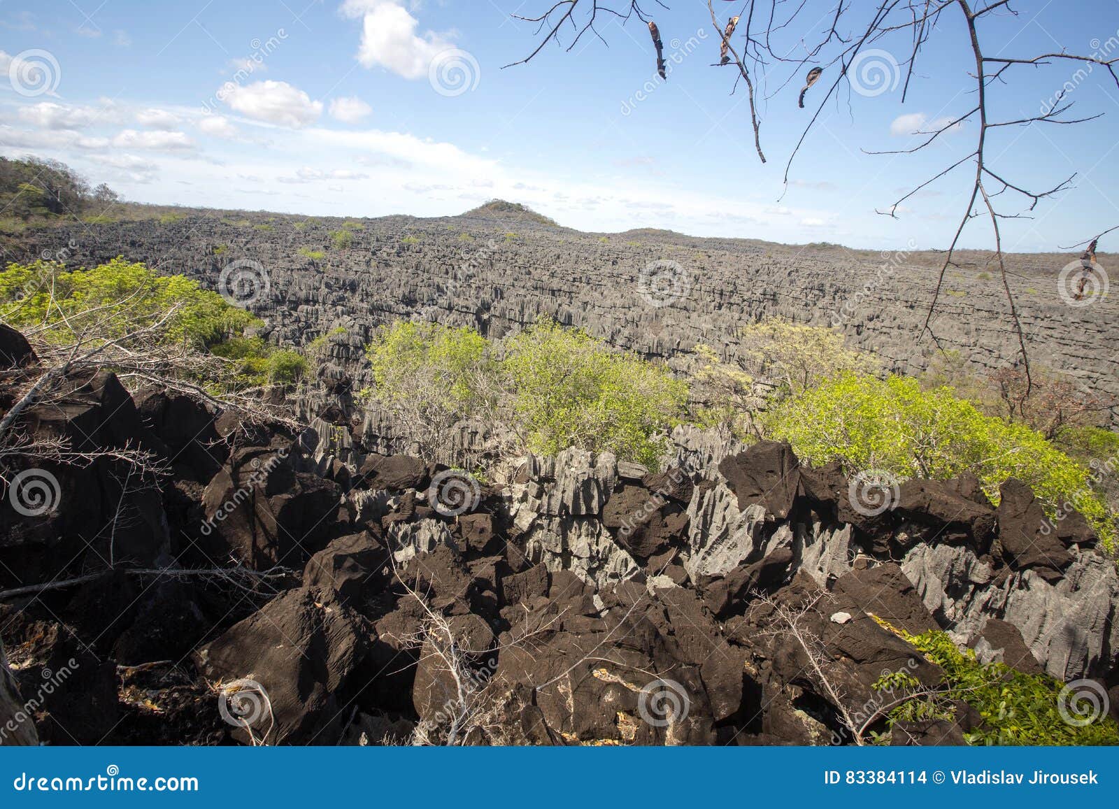 View of the Wonderful Limestone Formations Ankarana, Madagascar Stock ...