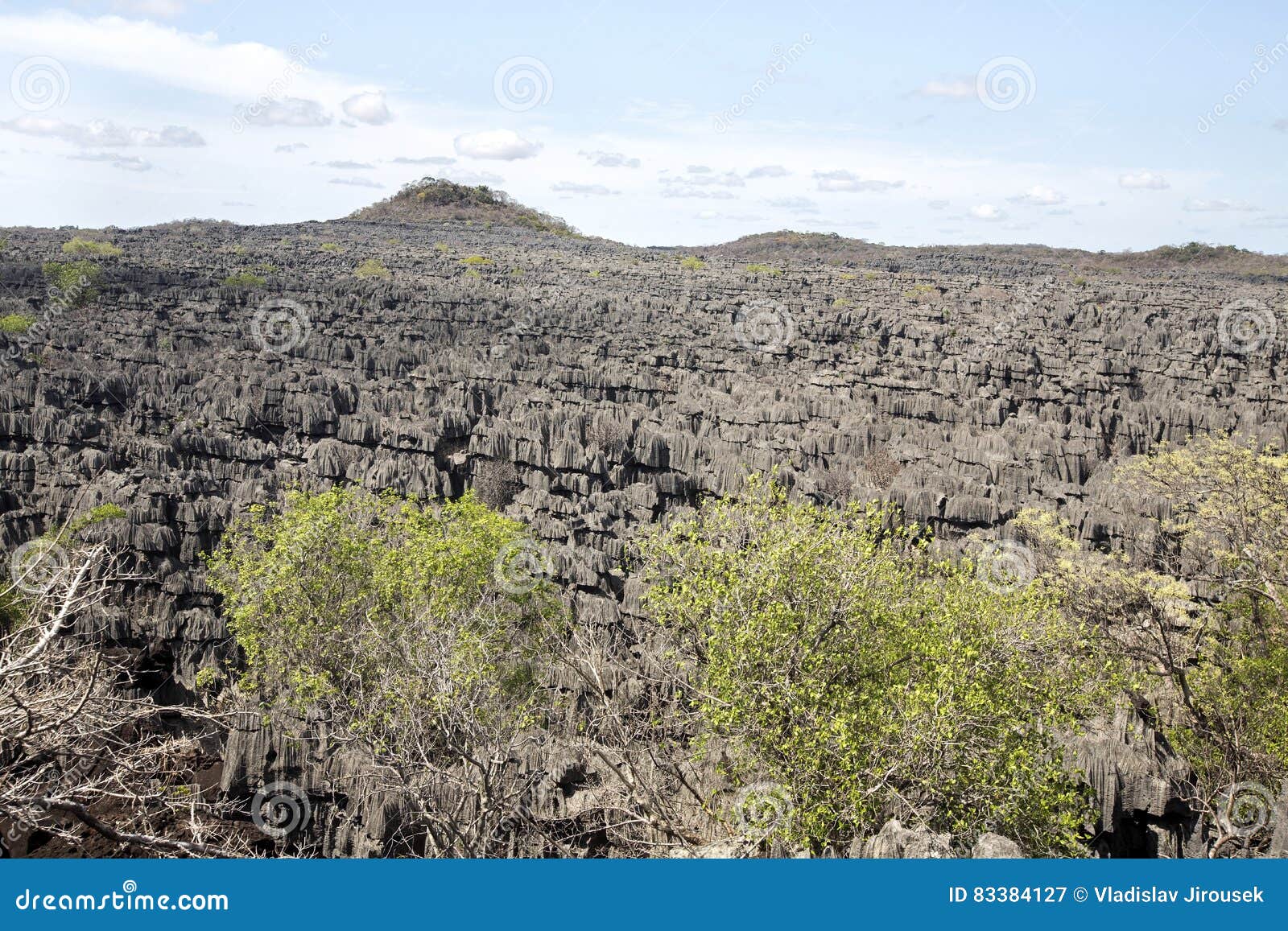 View of the Wonderful Limestone Formations Ankarana, Madagascar Stock ...