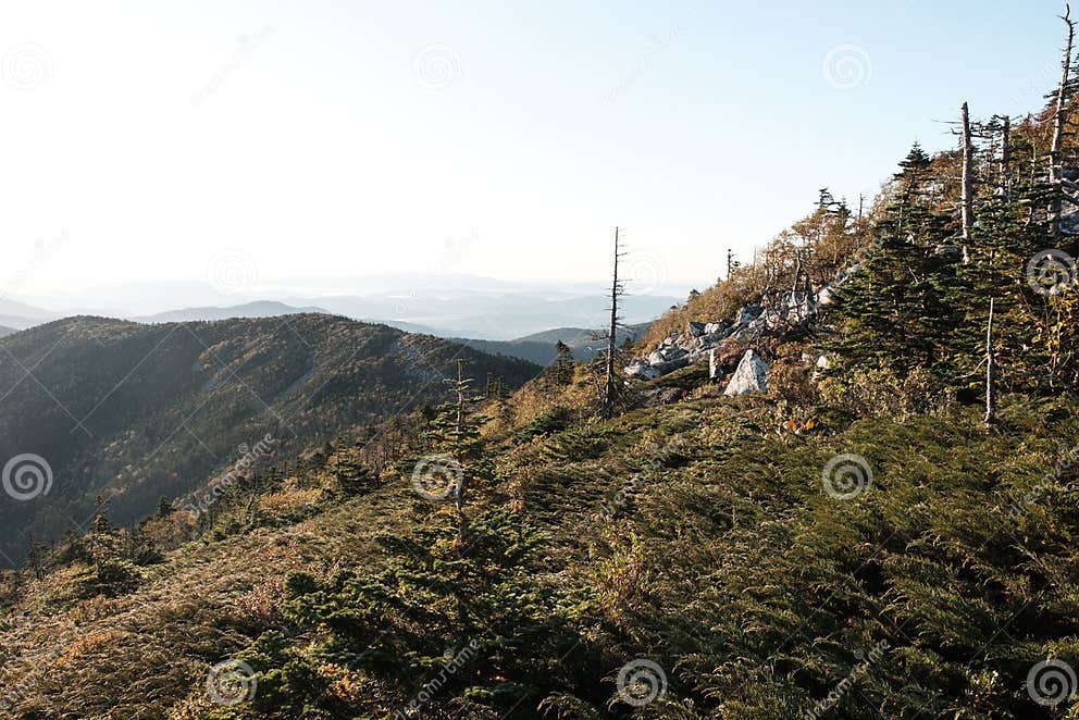 View on the Wood and Ridges Stock Image - Image of nature, haze: 109819967