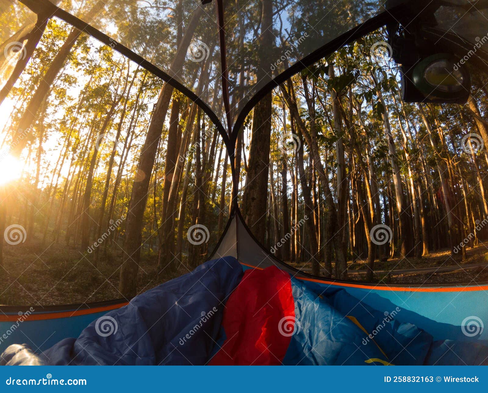 View of Woods and Forest Vegetation from Tent Doors Stock Image - Image ... View of Woods and Forest Vegetation from Tent Doors Stock Image - Image ...