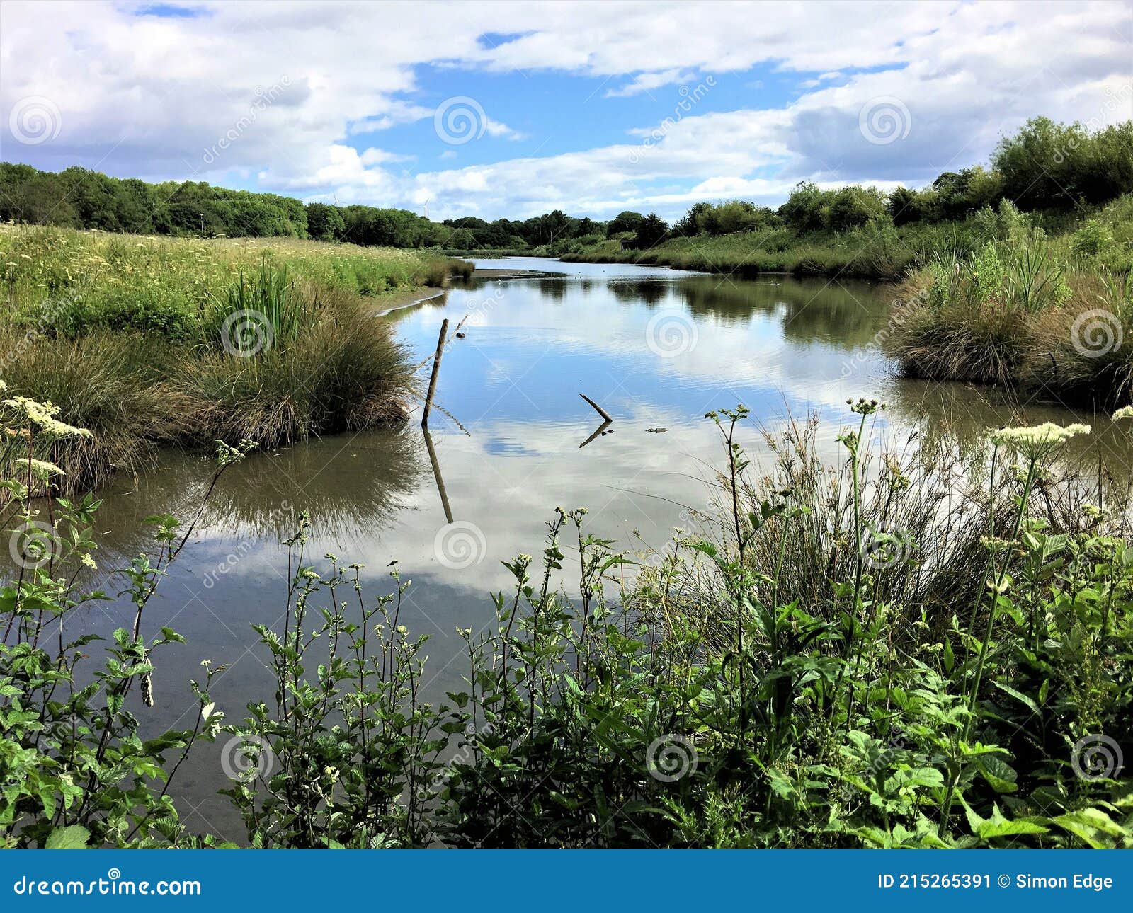 A view of WWT Washington stock image. Image of severn - 215265391