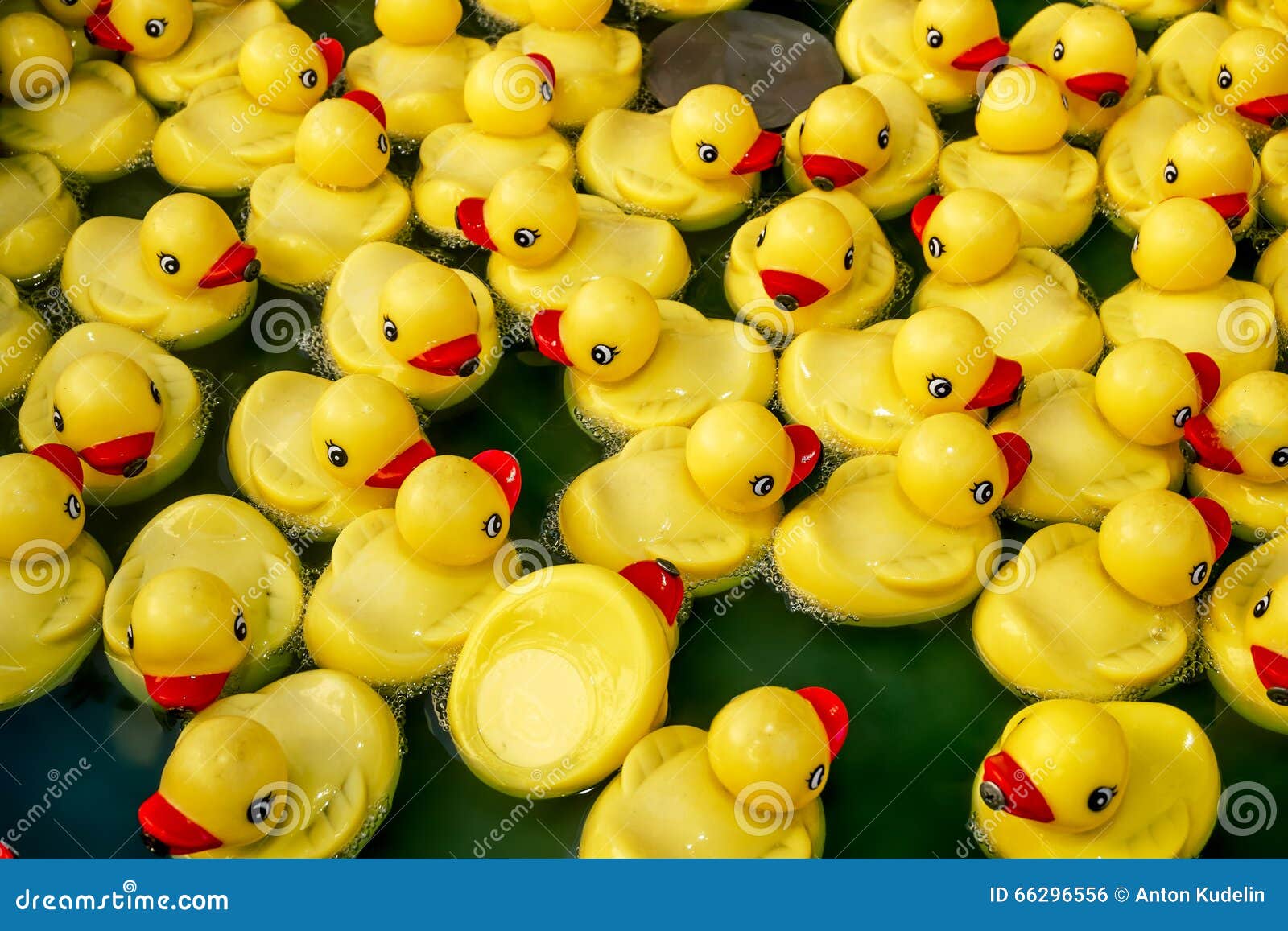 View of the Yellow Plastic Ducks in the Pool Stock Photo - Image of ...