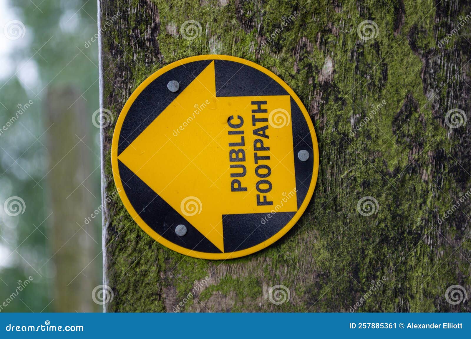 View of Yellow Public Footpath Sign Stock Image - Image of post, green ...