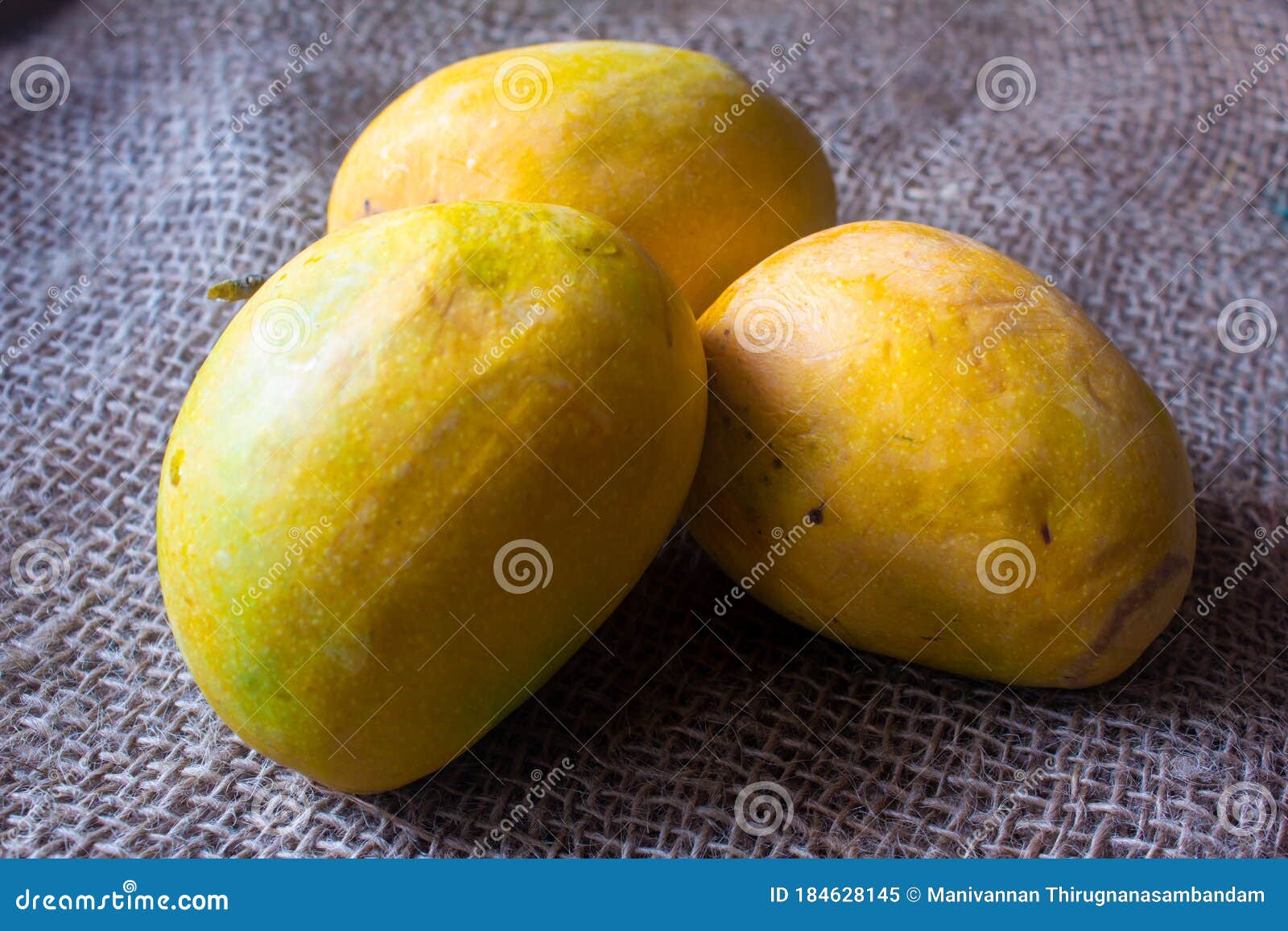 Ripe Alphonso Mango Fruit With Green Leaf Royalty-Free Stock ...