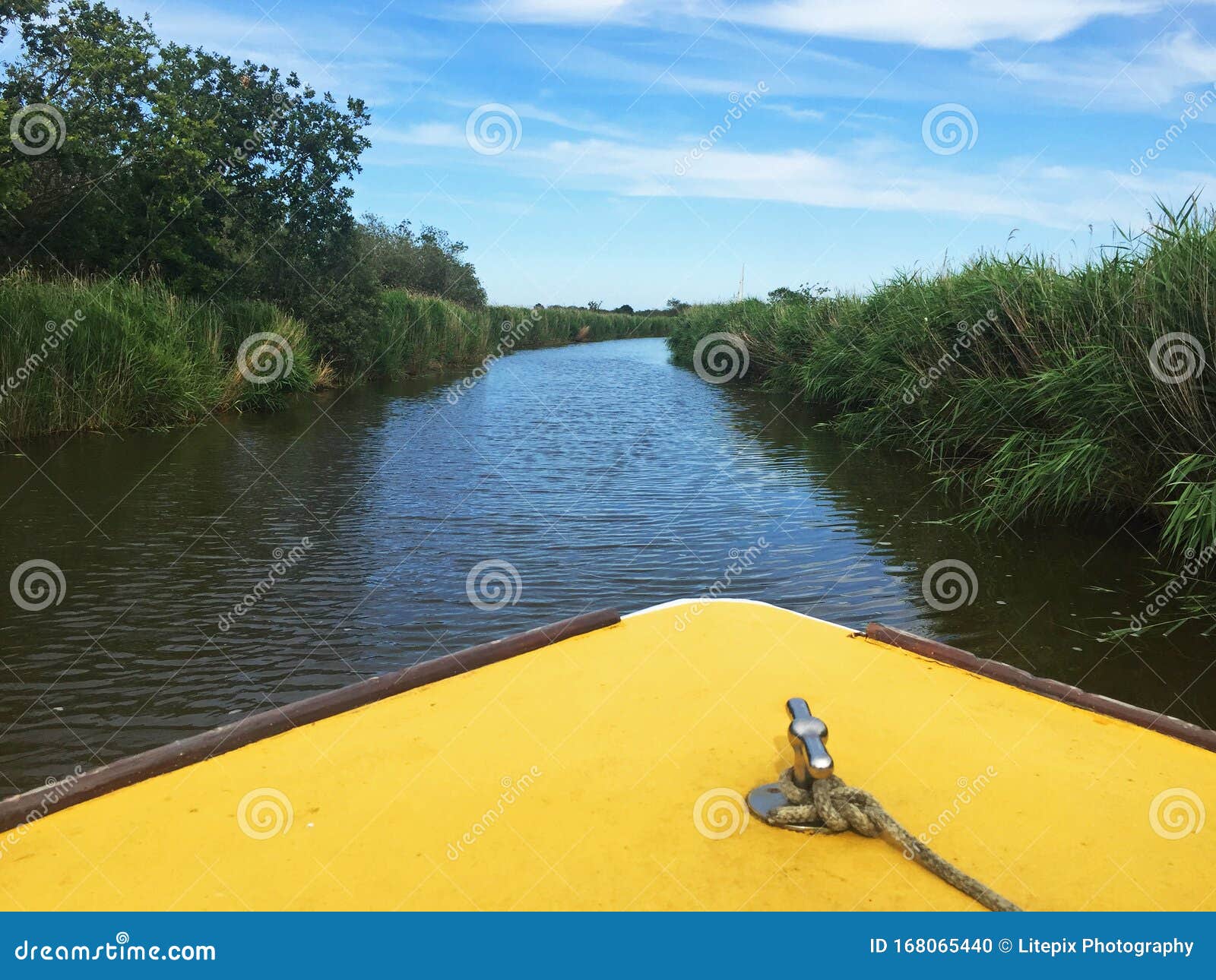 View from a Yellow River Boat on Norfolk River Stock Photo - Image of ...
