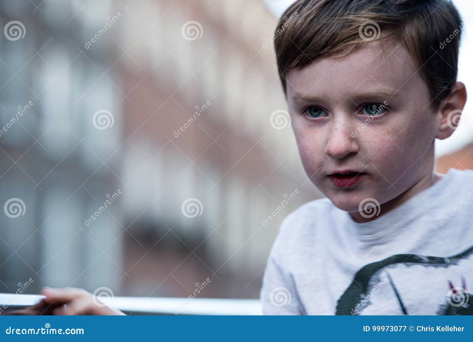 Young Little Boy Portrait Looking at Something Stock Image - Image of ...