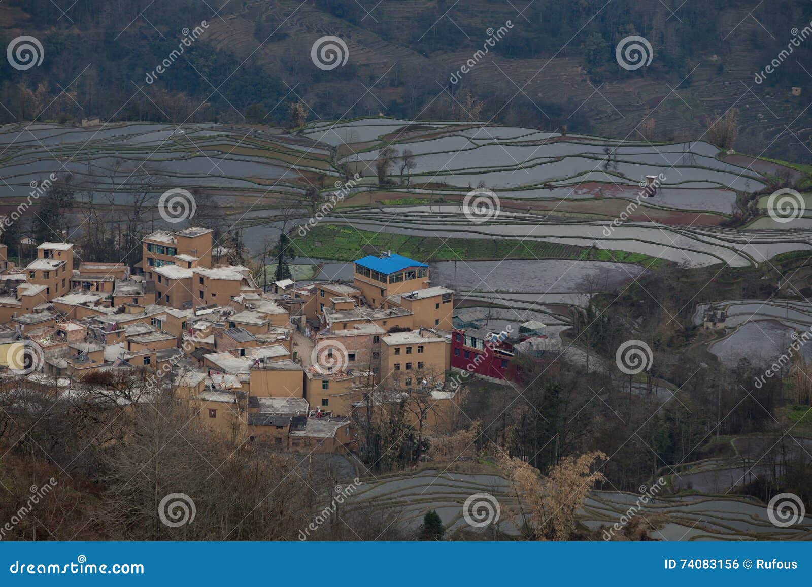 View of Yuan Yang stock photo. Image of pattern, color - 74083156