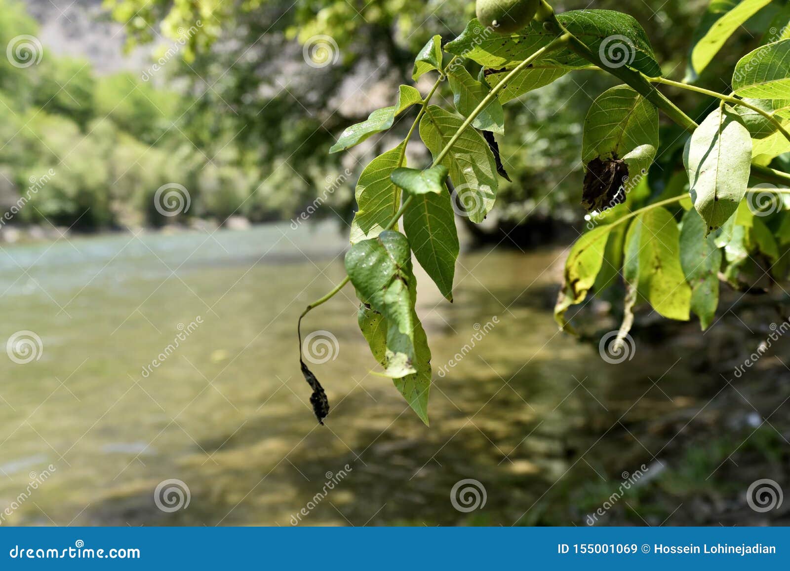 View of Zayandeh Rood Zayanderud, Esfahan, Iran at the Day Stock Image ...