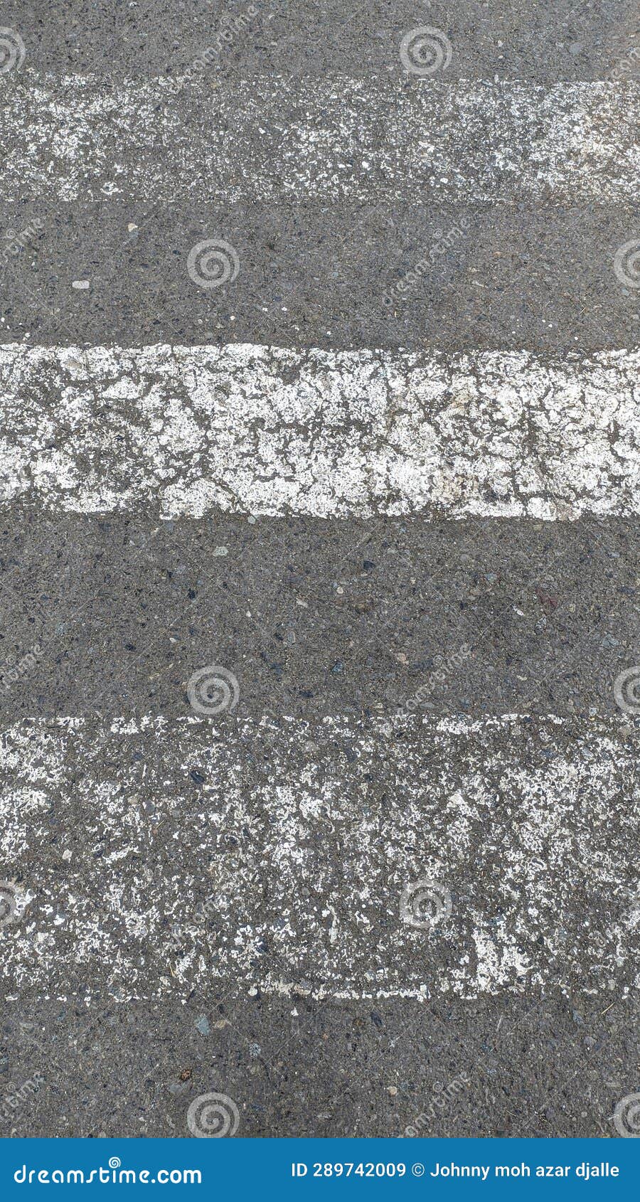 View of zebra cross sign stock image. Image of cross - 289742009