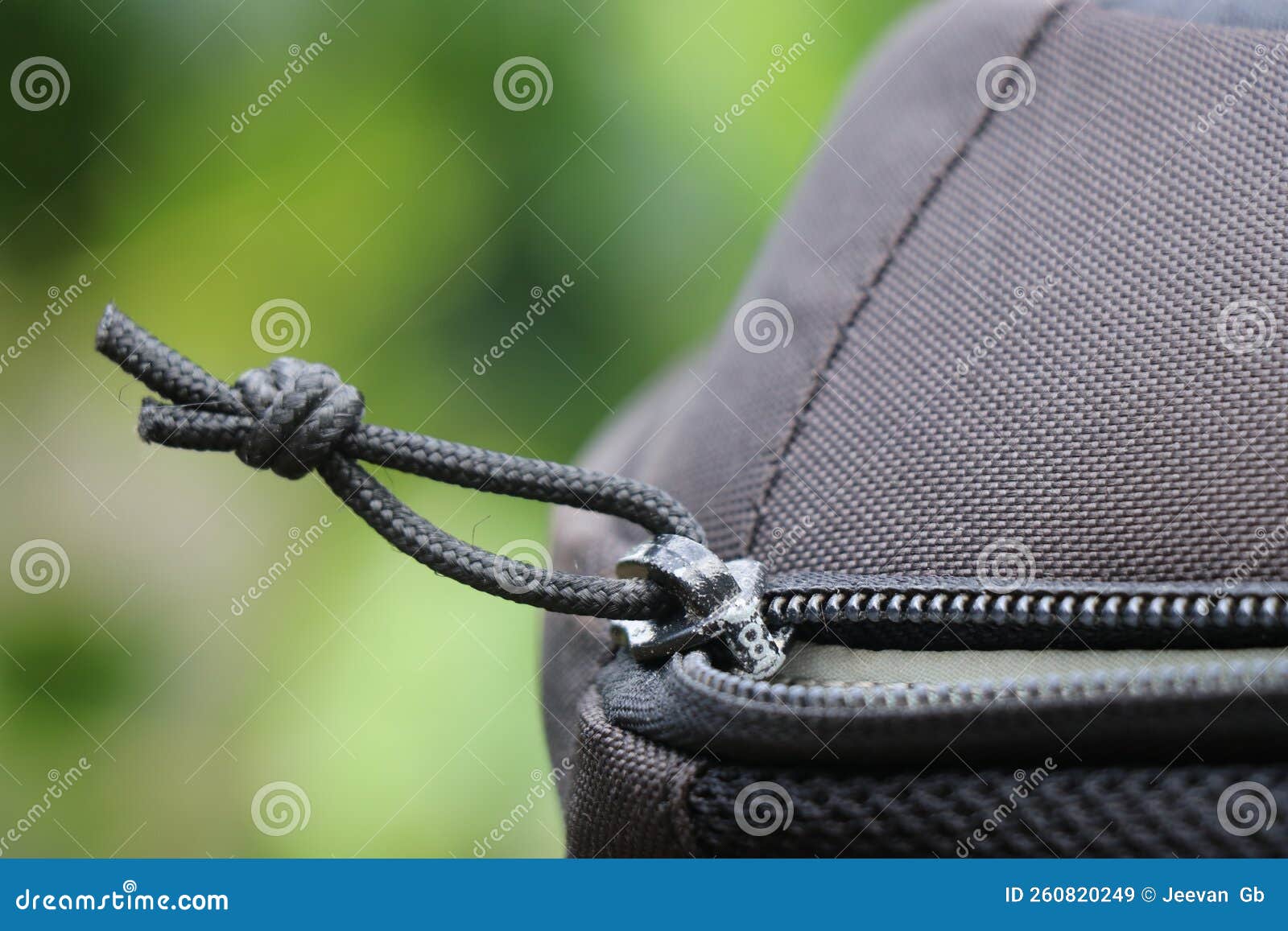 View of a Zipper from a Bag that is Left Open with Natural Green ...