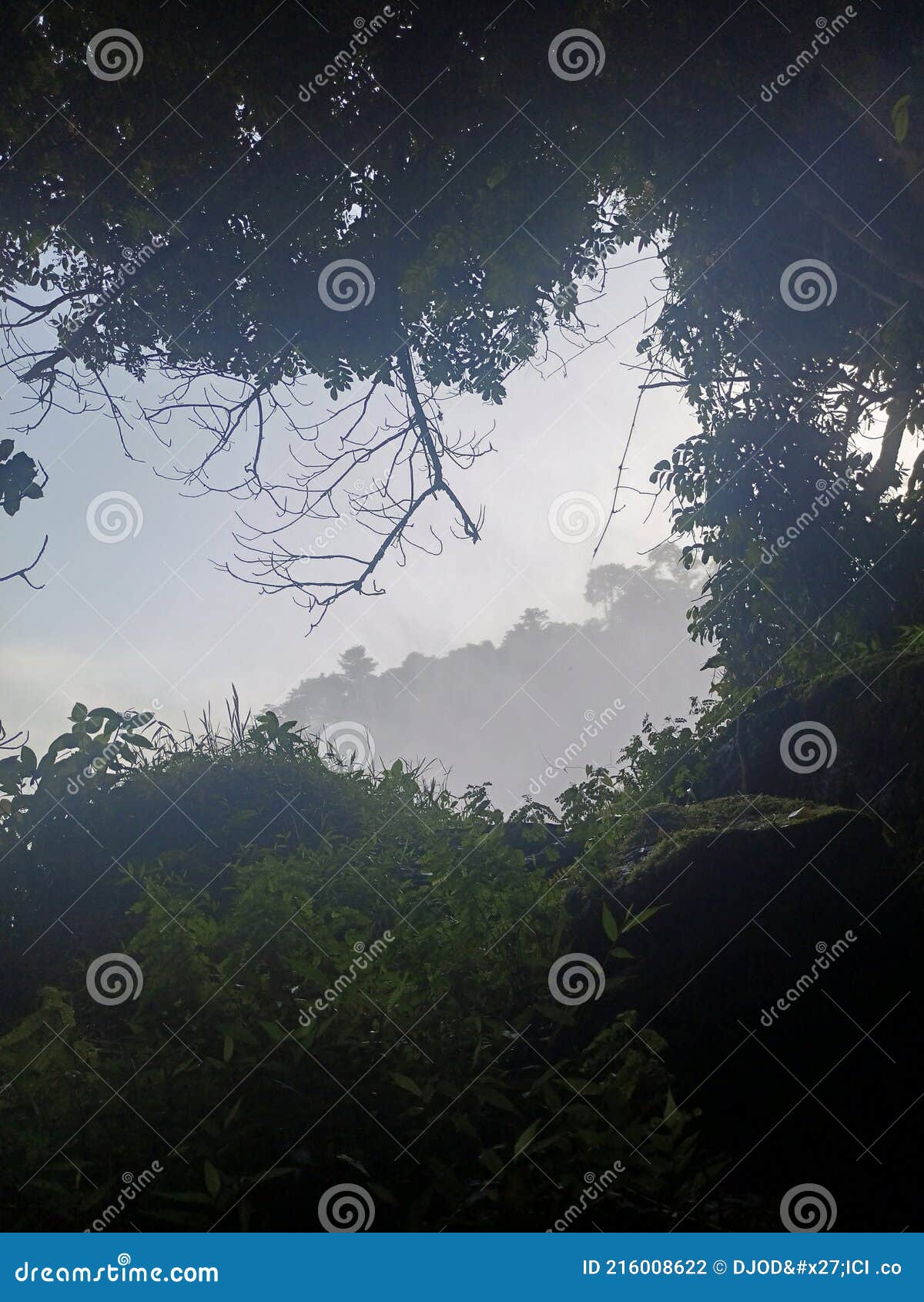 View of Zongo falls, Congo stock photo. Image of congo - 216008622
