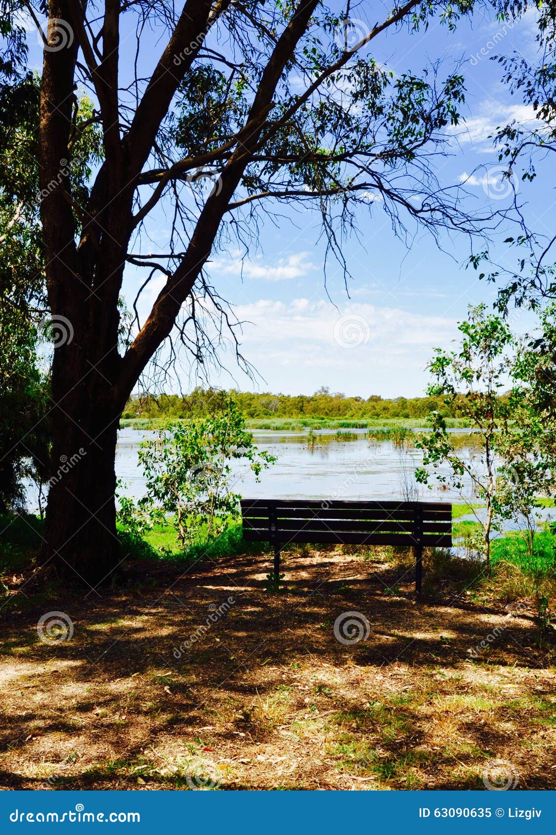 Viewing Bench: Bibra Lake Wetlands Stock Image - Image of landscape ...