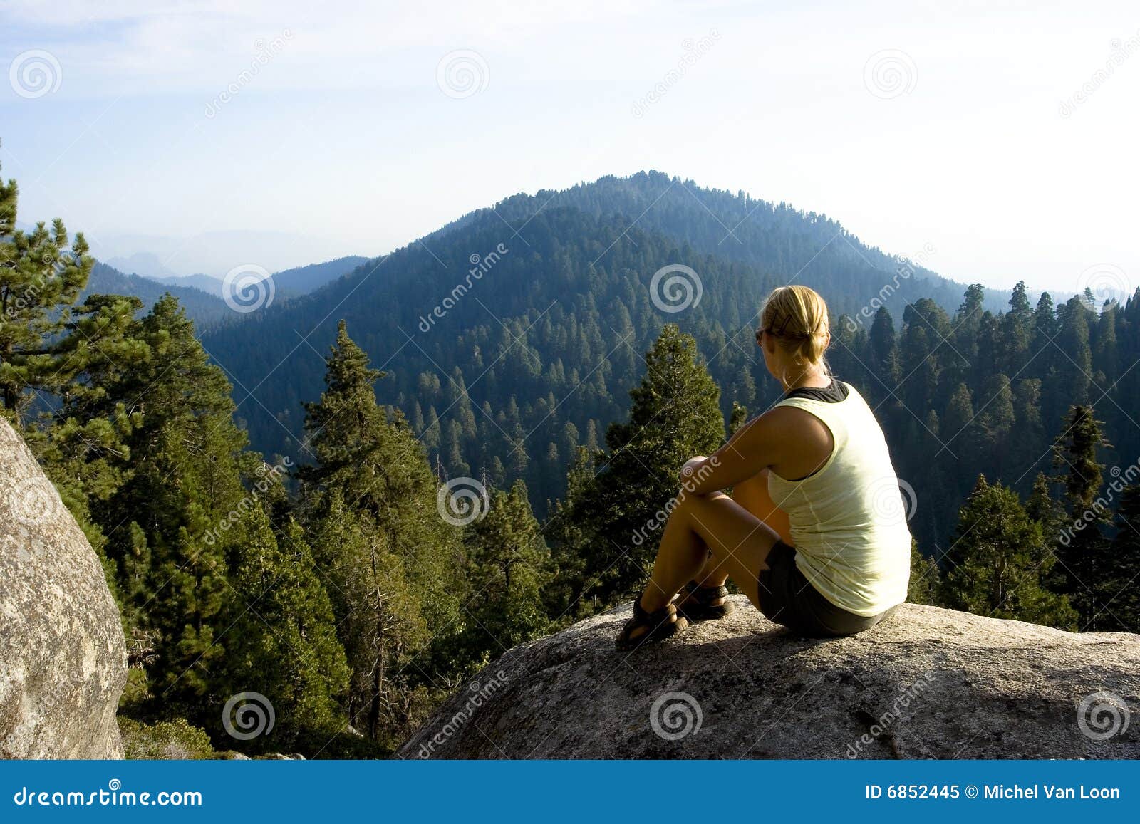 Viewing the forest stock image. Image of female, view - 6852445