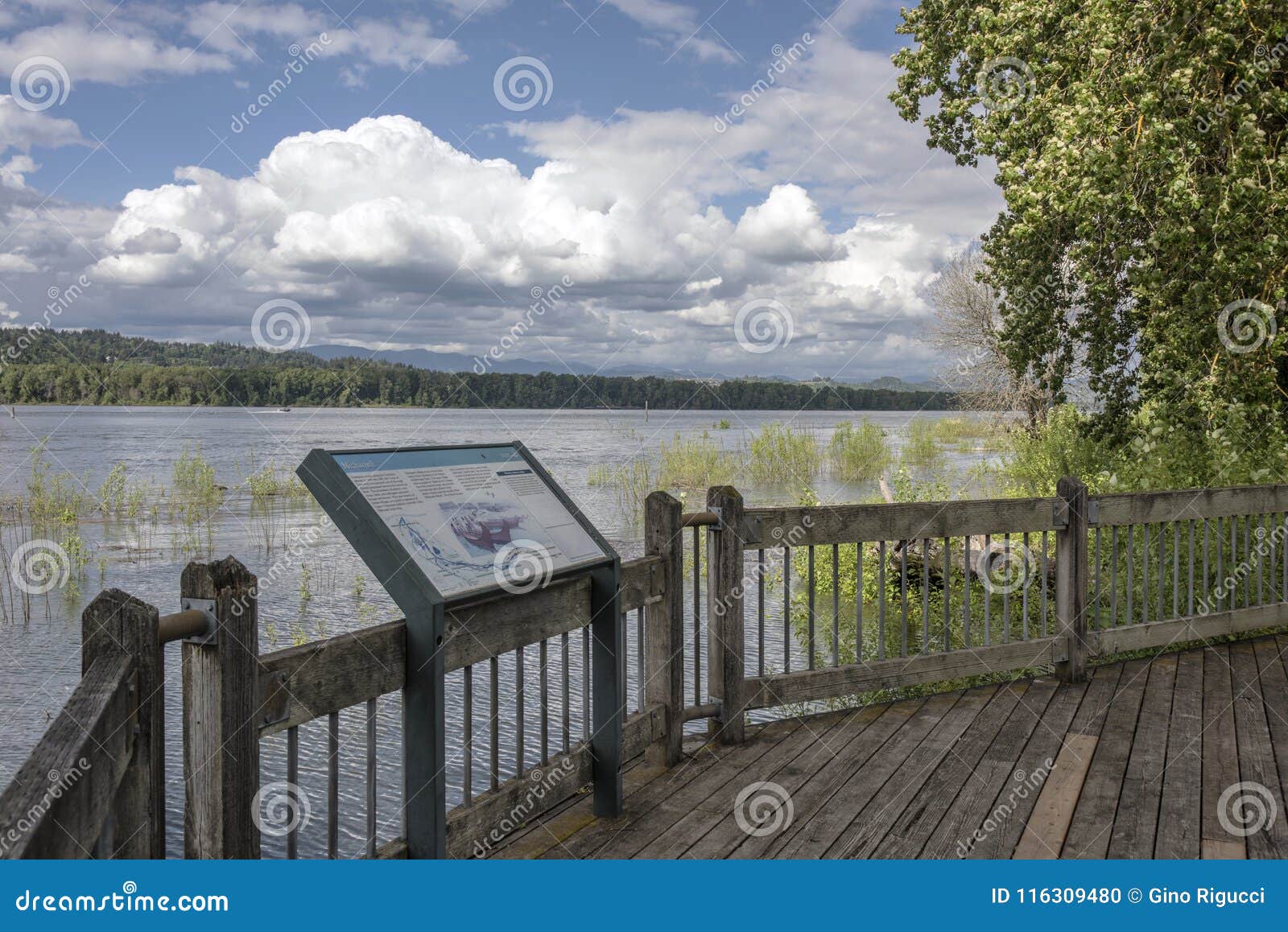 Viewing Platform Along the Columbia River. Stock Photo - Image of bench ...