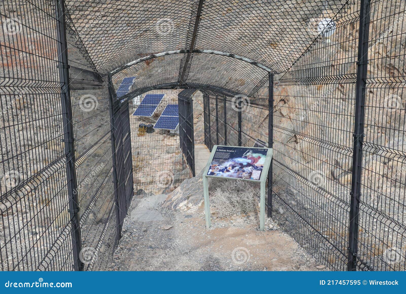 A Viewing Platform Over Devils Hole Editorial Image - Image of deck ...