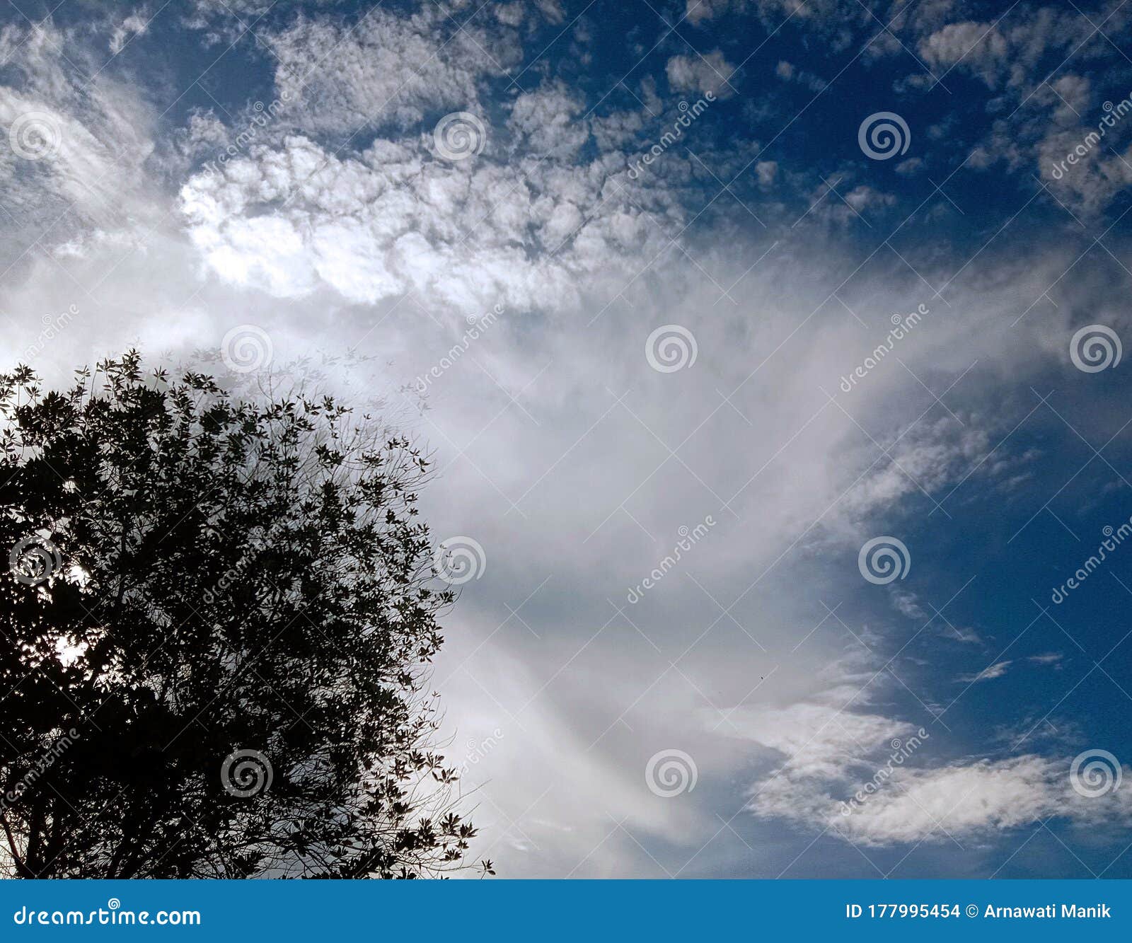 Viewing of the Sky in the Evening Stock Photo - Image of panorama ...