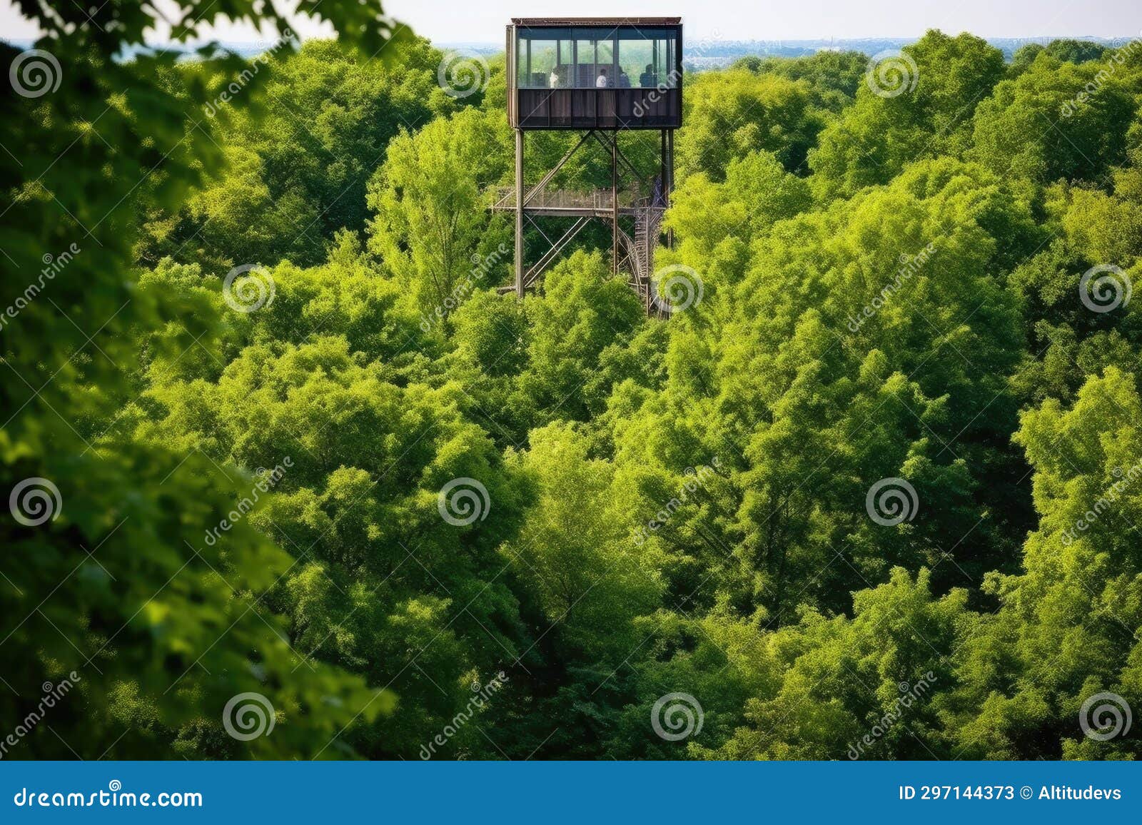 A Viewing Tower among Lush Sanctuary Trees Stock Image - Image of ...