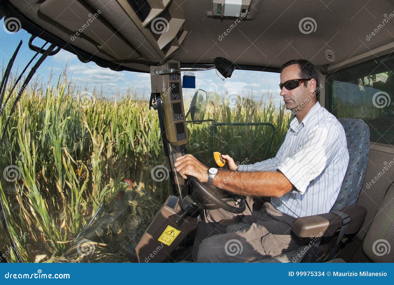 Viewpoint of the Driver of the Combine on the Corn Field Stock Photo ...