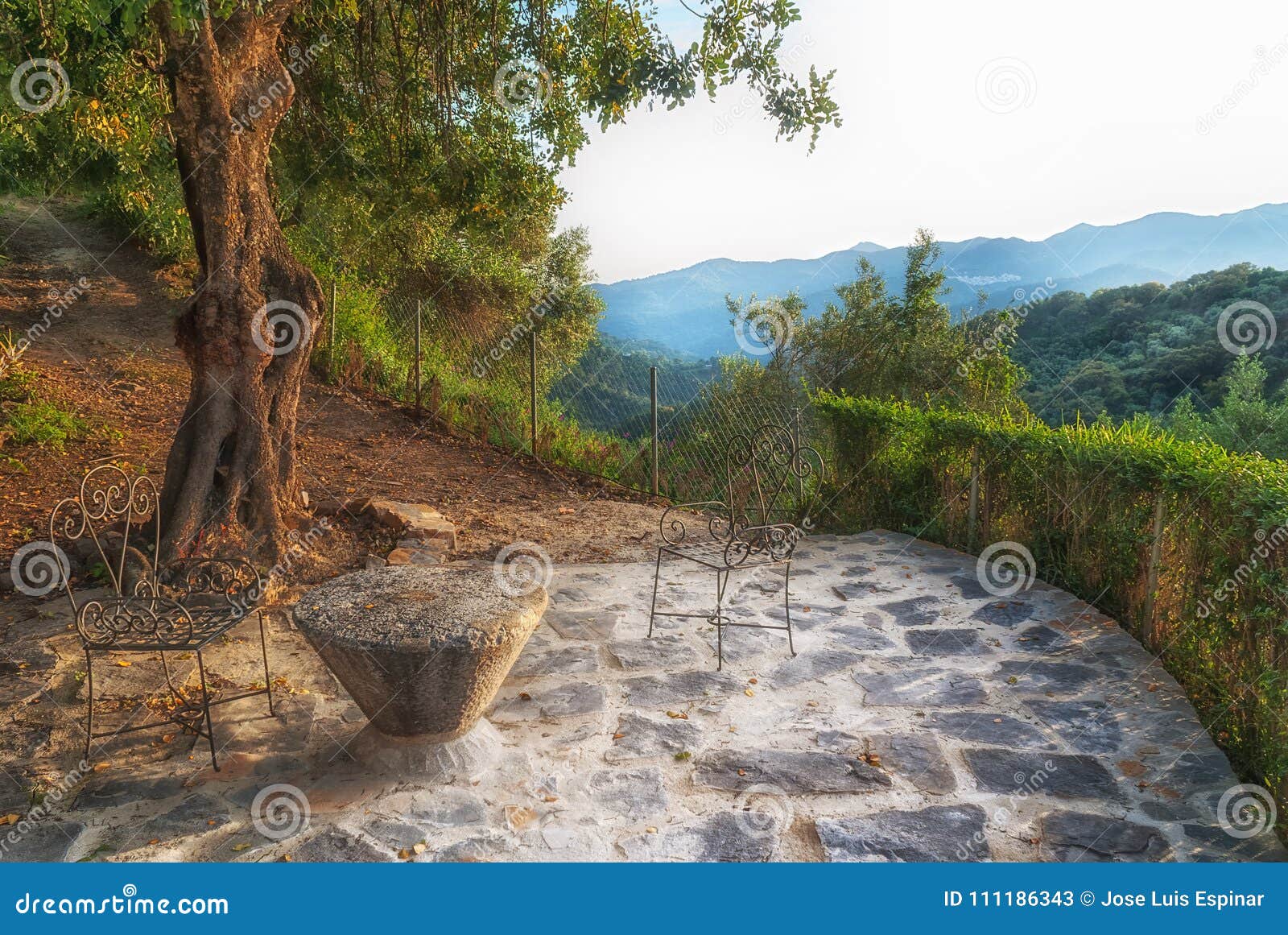 Viewpoint in the forest stock image. Image of forest - 111186343