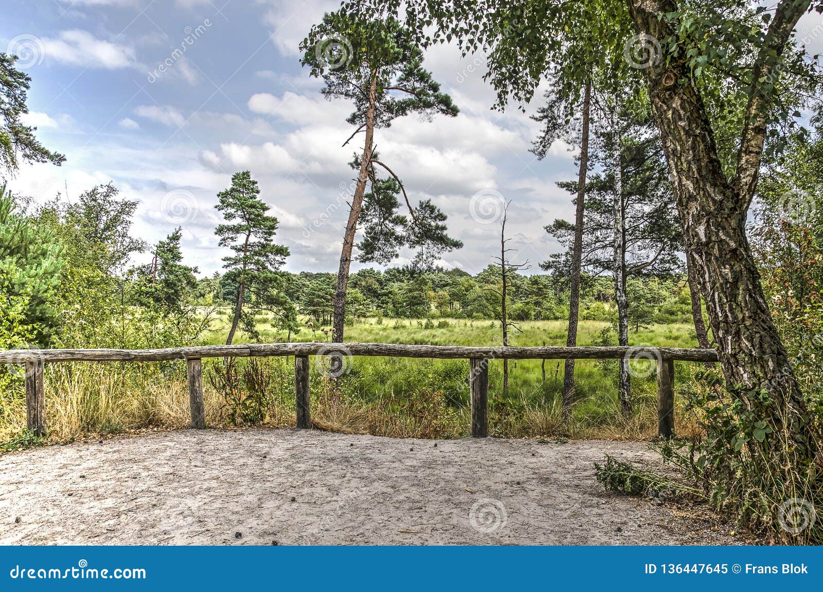 Viewpoint in the forest stock image. Image of landscape - 136447645