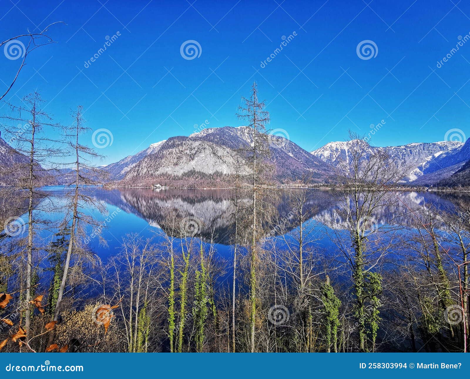 Viewpoint in Hallstatt stock photo. Image of ridge, winter - 258303994