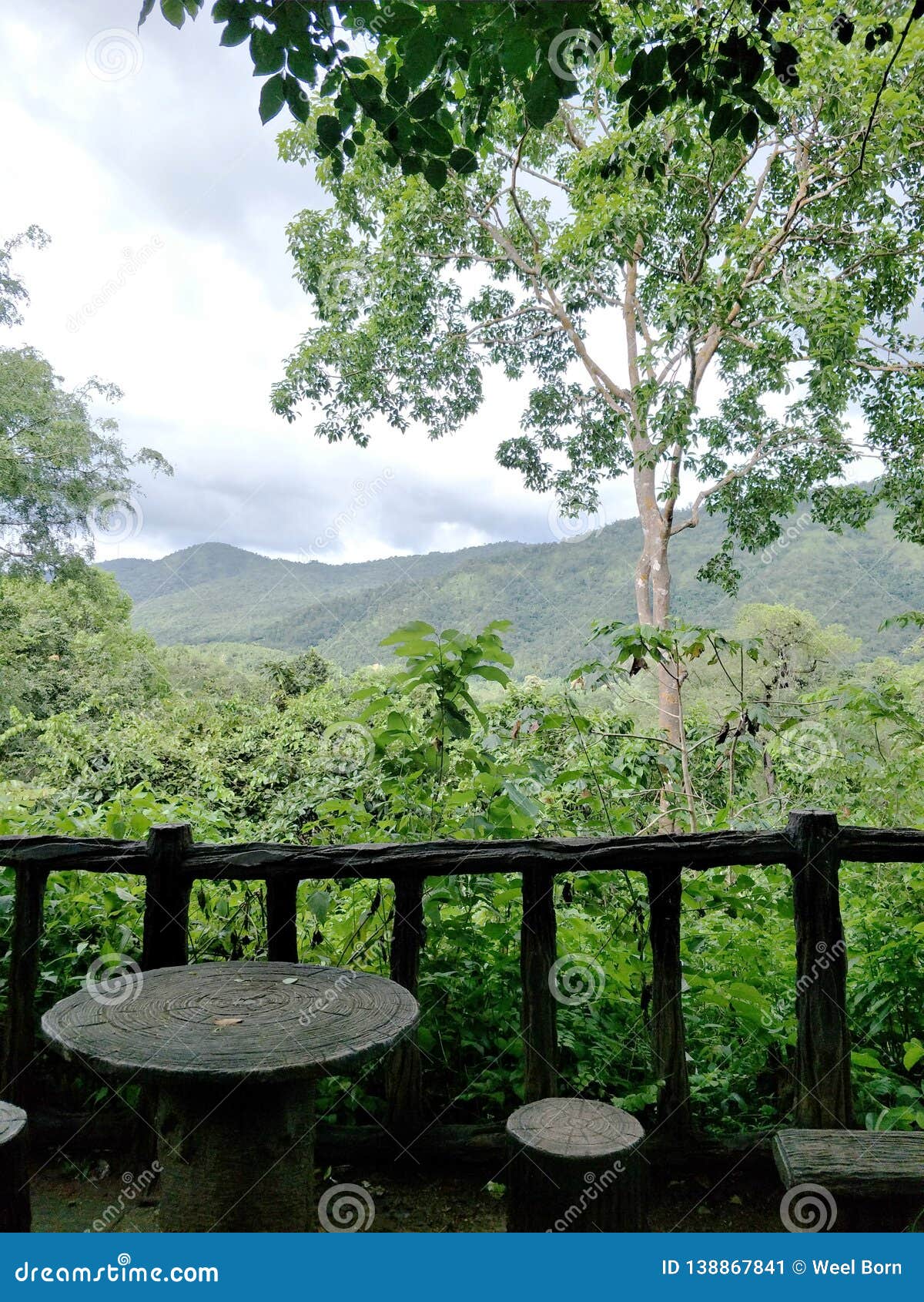 Viewpoints in Nature Background Stock Image - Image of design, green ...