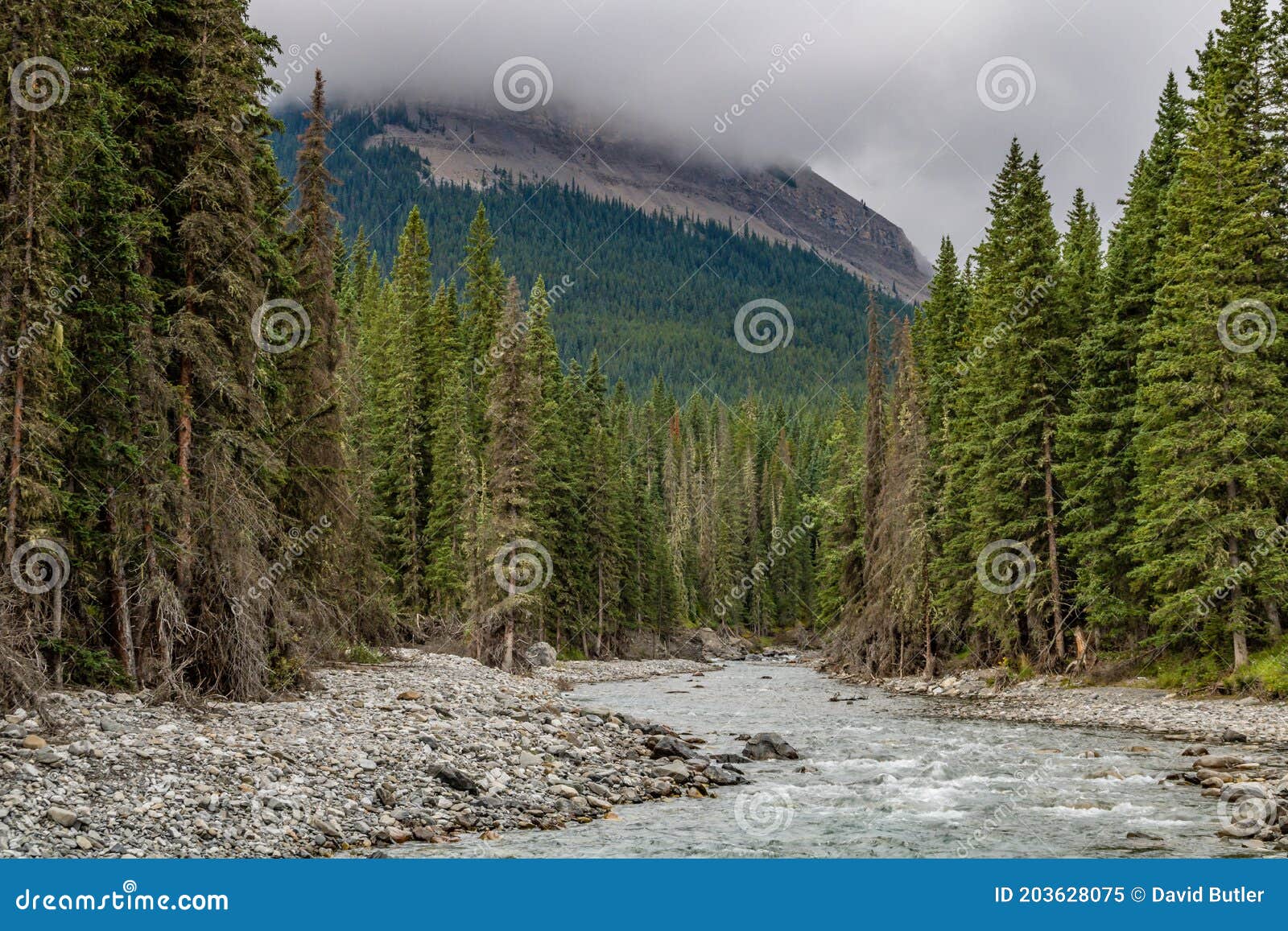 Views Along the Sheep River. Sheep River Provincial Park. Alberta ...