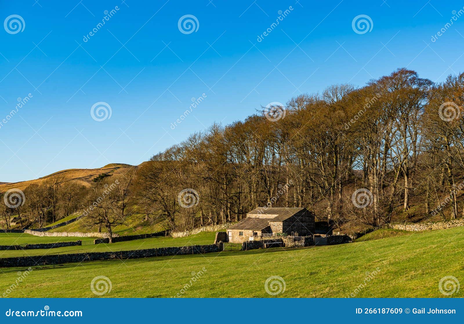 A farm and fields stock image. Image of swaledale, waterfall - 266187609