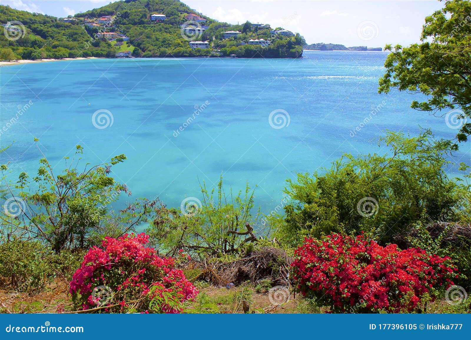 Views and Beaches of Grenada, Caribbean Stock Image - Image of grenada ...