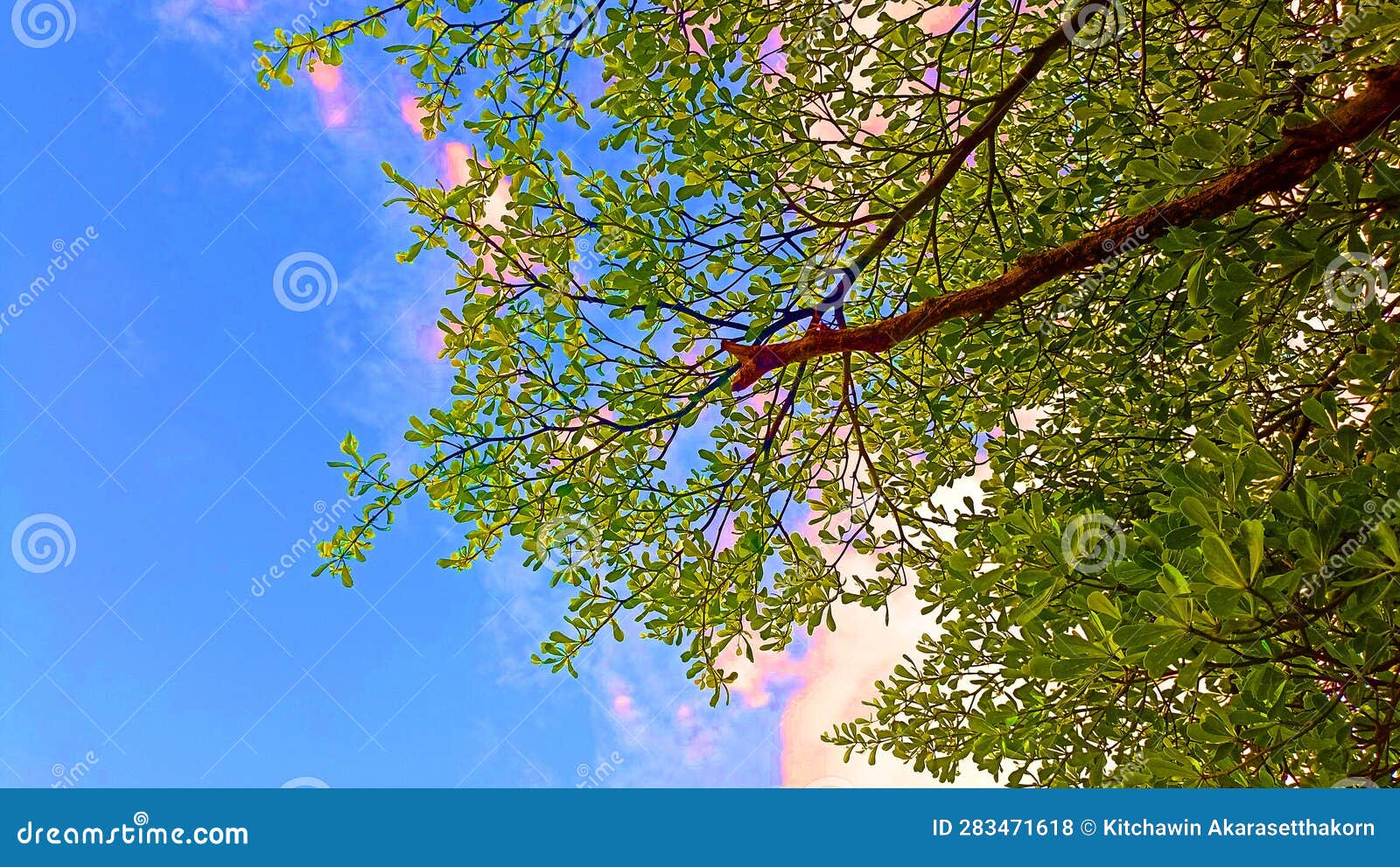 Views Bright Colors Stylish Modern Beautiful Patterns Stock Photo ...
