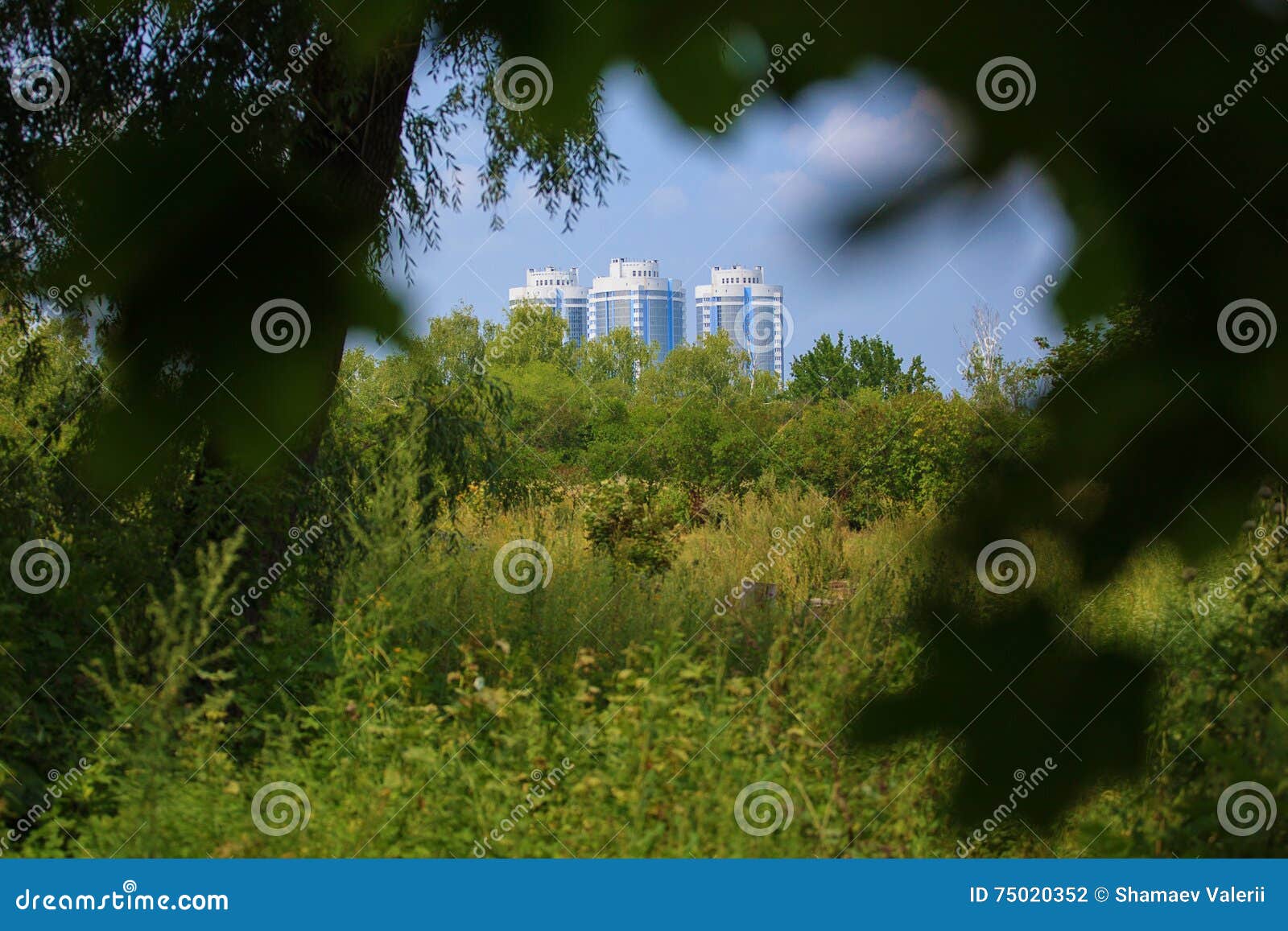 Views of the Building from the Forest Stock Photo - Image of skyline ...