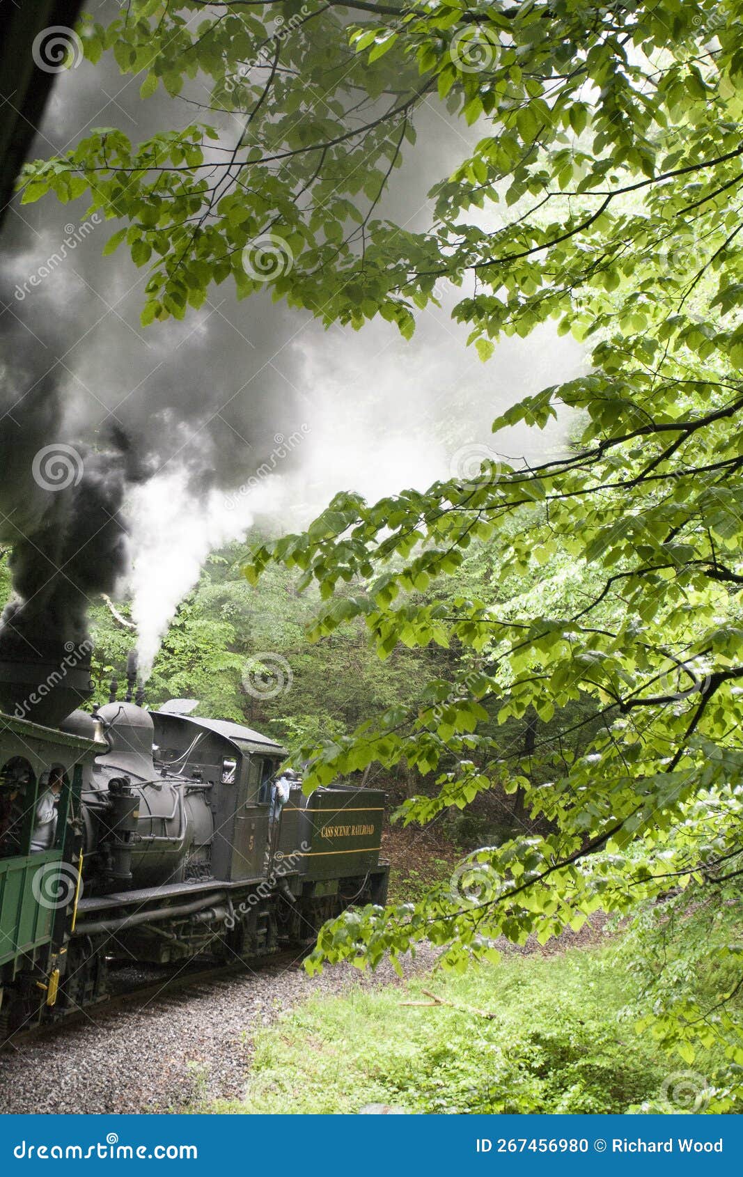 Views Seen from the Cass Scenic Railroad, West Virginia Editorial Image ...