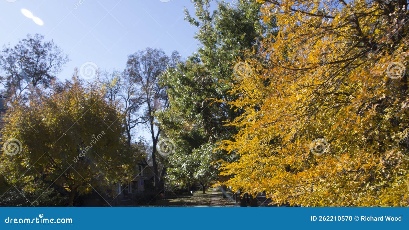 Swiss Avenue Neighborhood, Dallas, Texas Stock Photo - Image of star ...