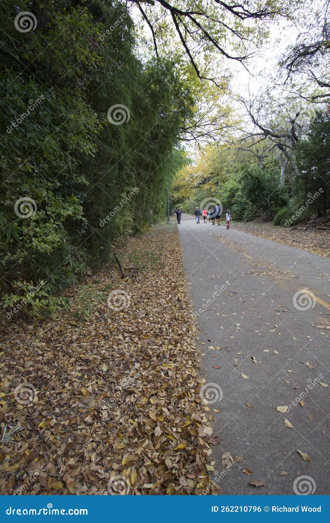 Views of the Katy Trail, Dallas, Texas Editorial Photo - Image of ...