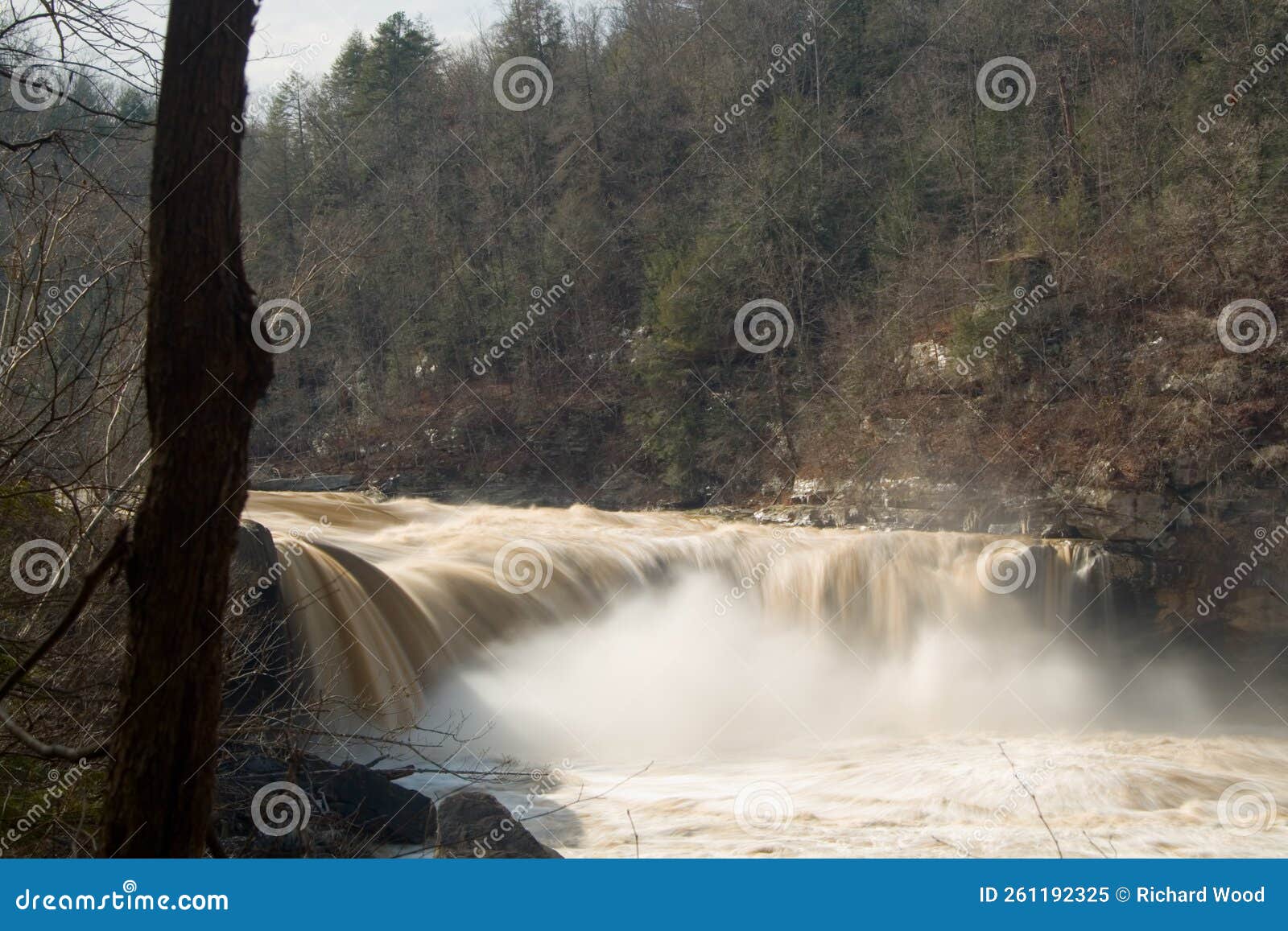 Views at Cumberland Falls State Park, Kentucky Stock Image - Image of ...